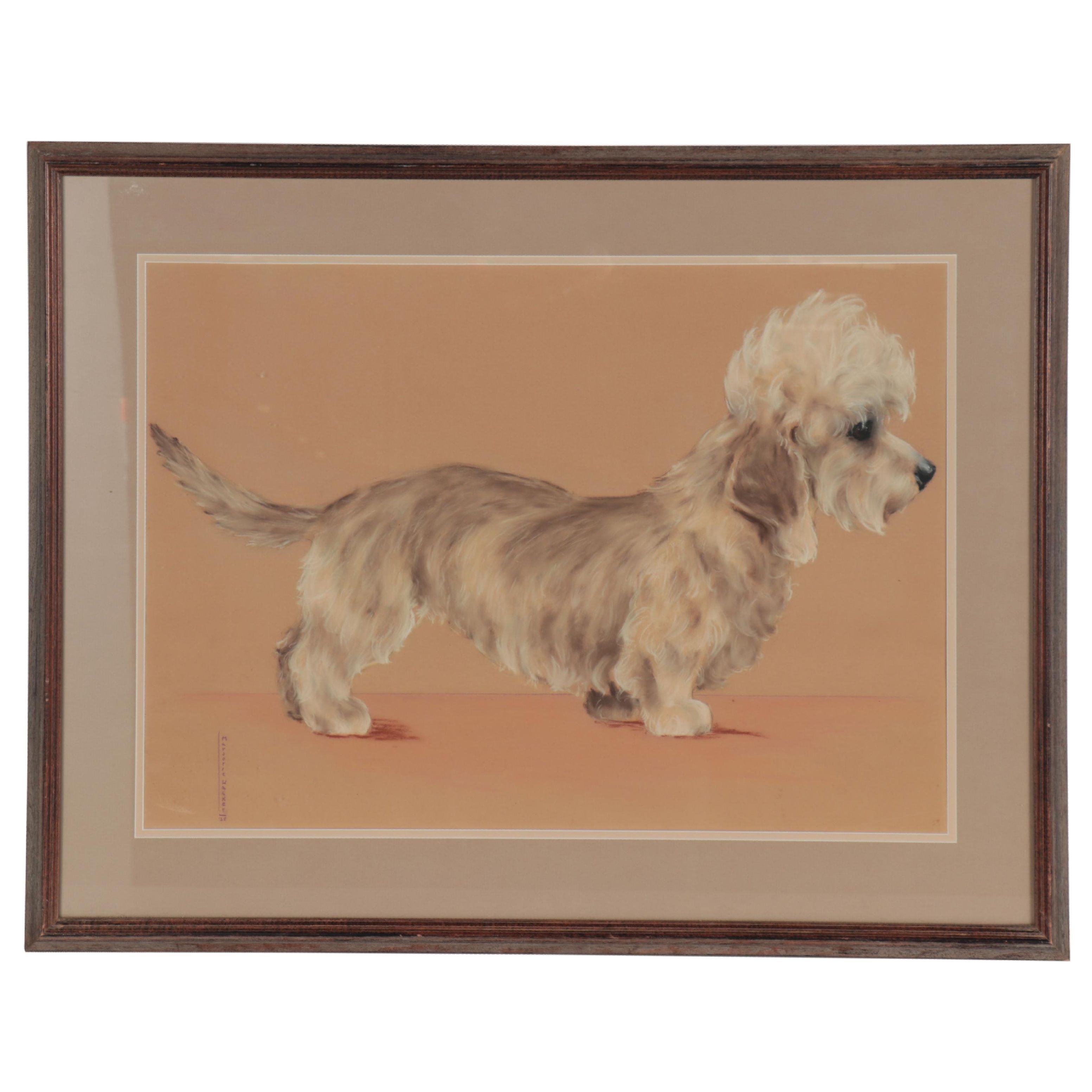 Marjorie Walker Pastel Drawing of Dandie Dinmont Terrier, 1935 | EBTH