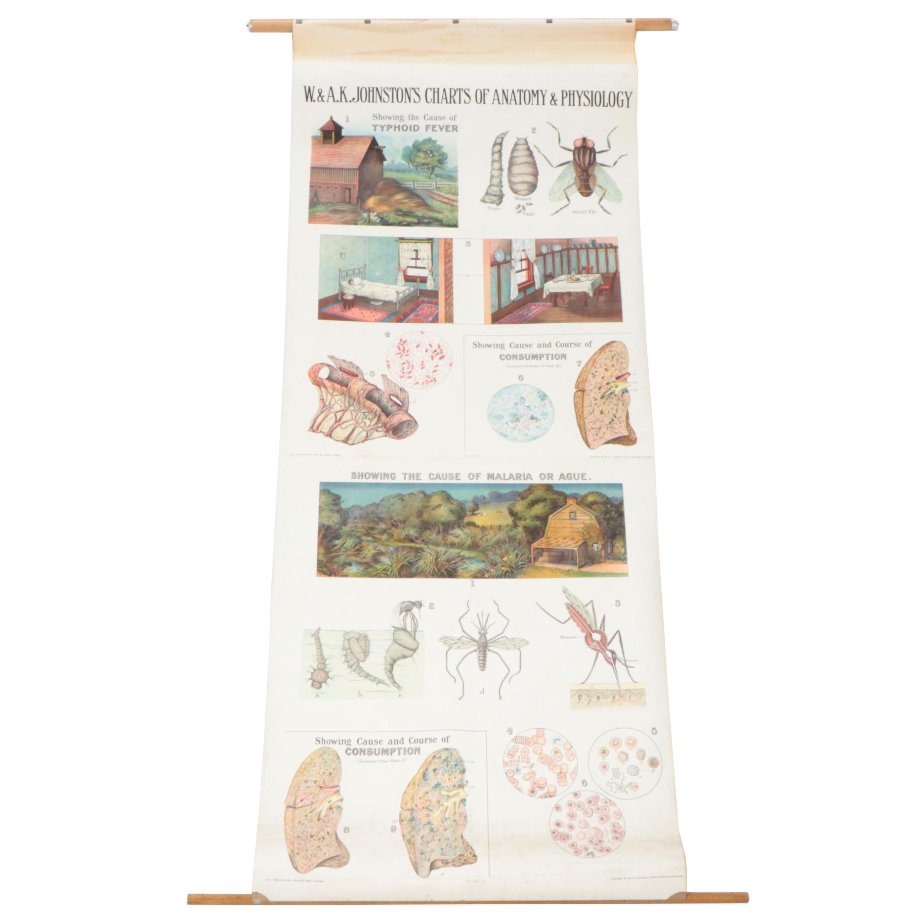 Walt Disney's The Colonel and Scottie from "101 Dalmatians" Celluloid ...