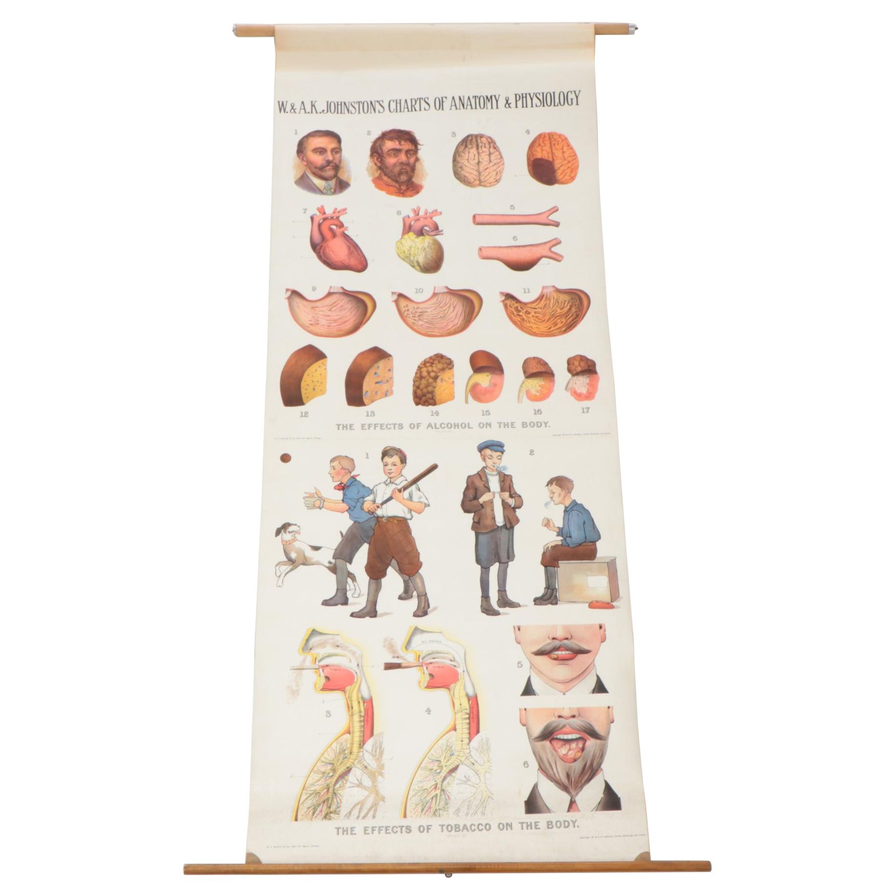 Walt Disney's The Colonel and Scottie from "101 Dalmatians" Celluloid ...