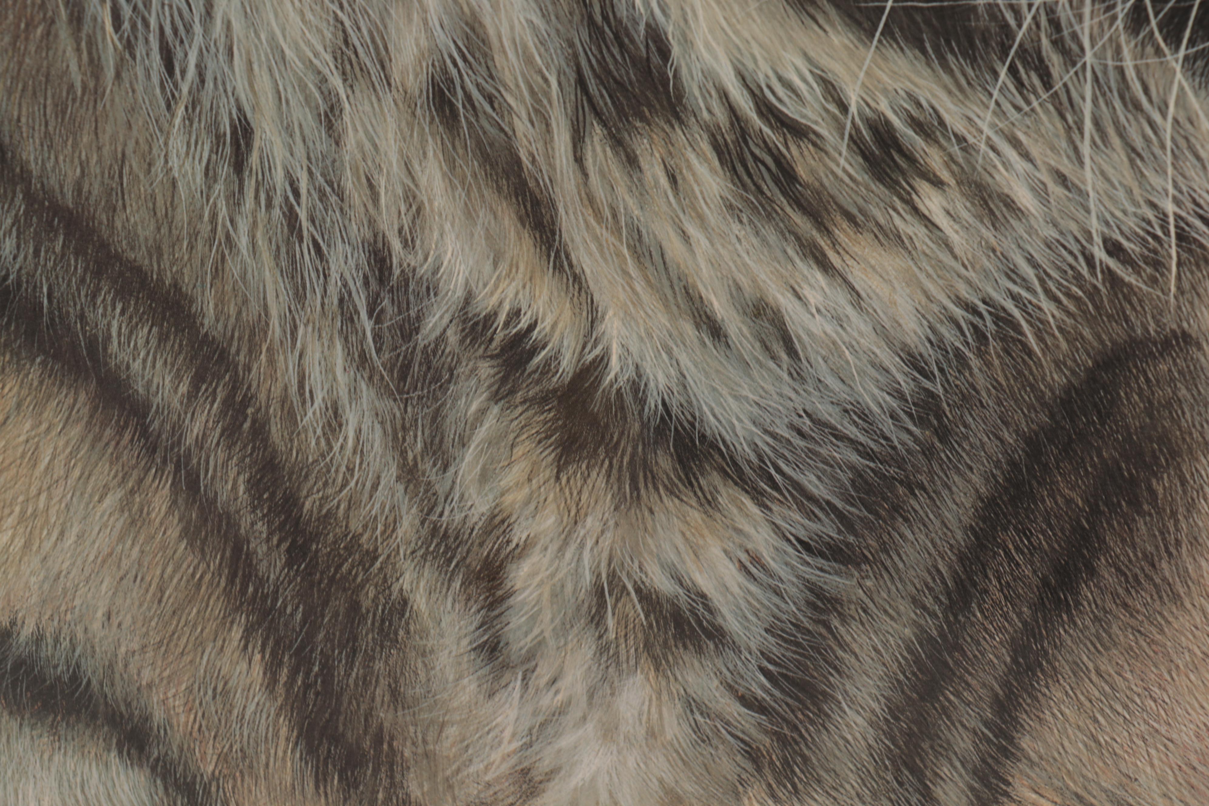 Imogene Hudson Farnsworth Offset Lithograph "The Bengal Tiger" | EBTH