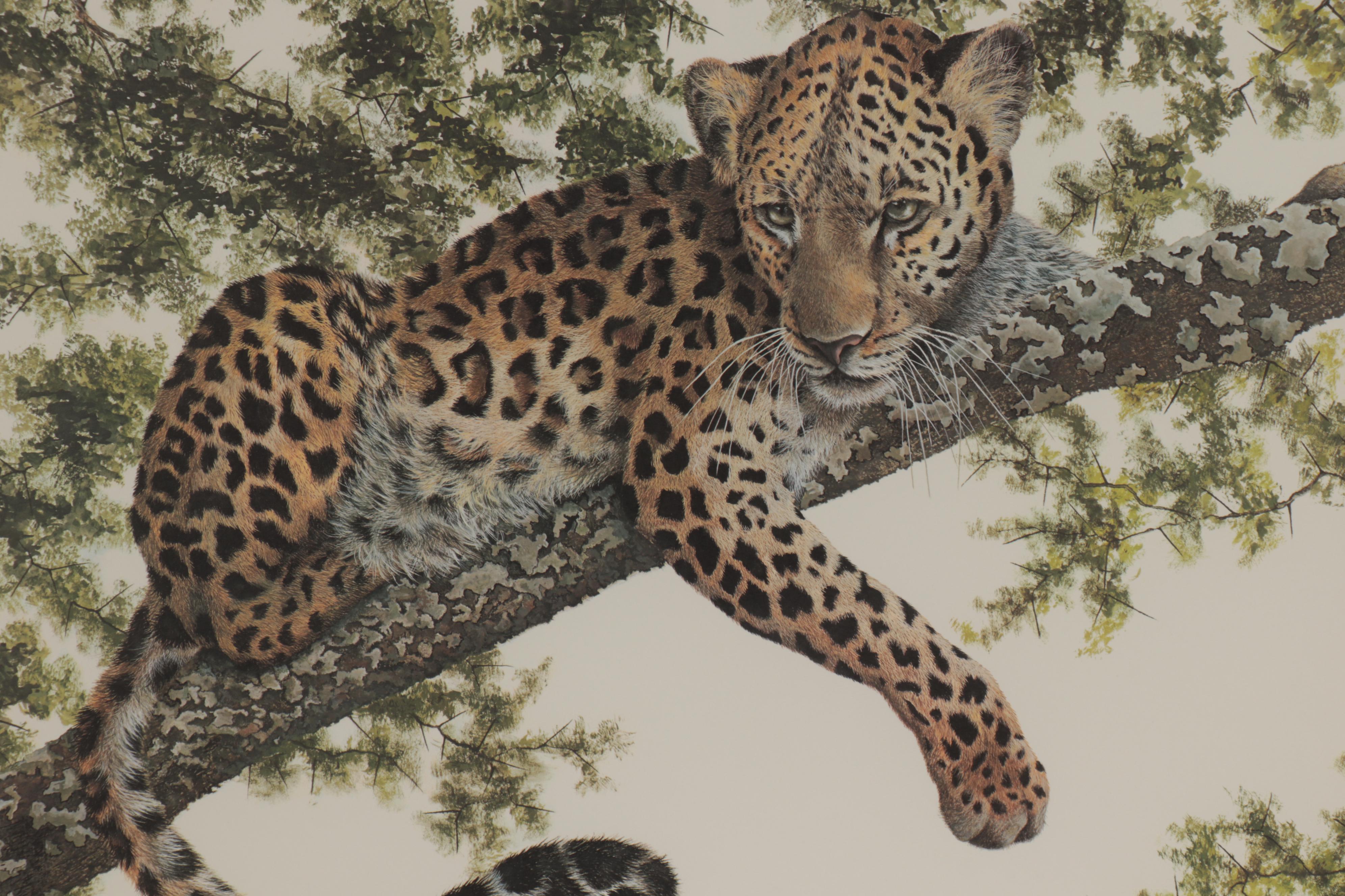Imogene Hudson Farnsworth Offset Lithograph "African Leopard," Late ...