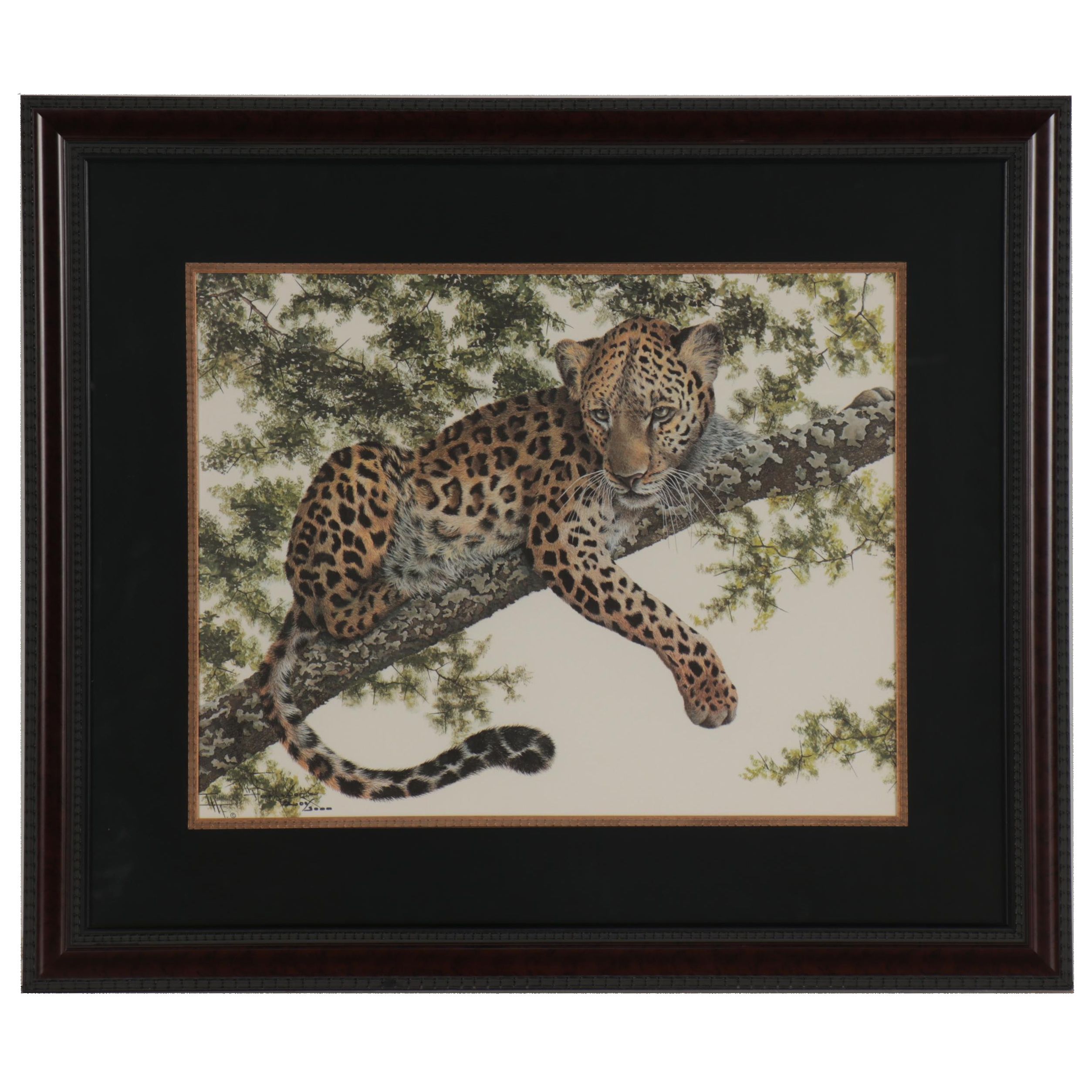 Imogene Hudson Farnsworth Offset Lithograph "African Leopard," Late ...