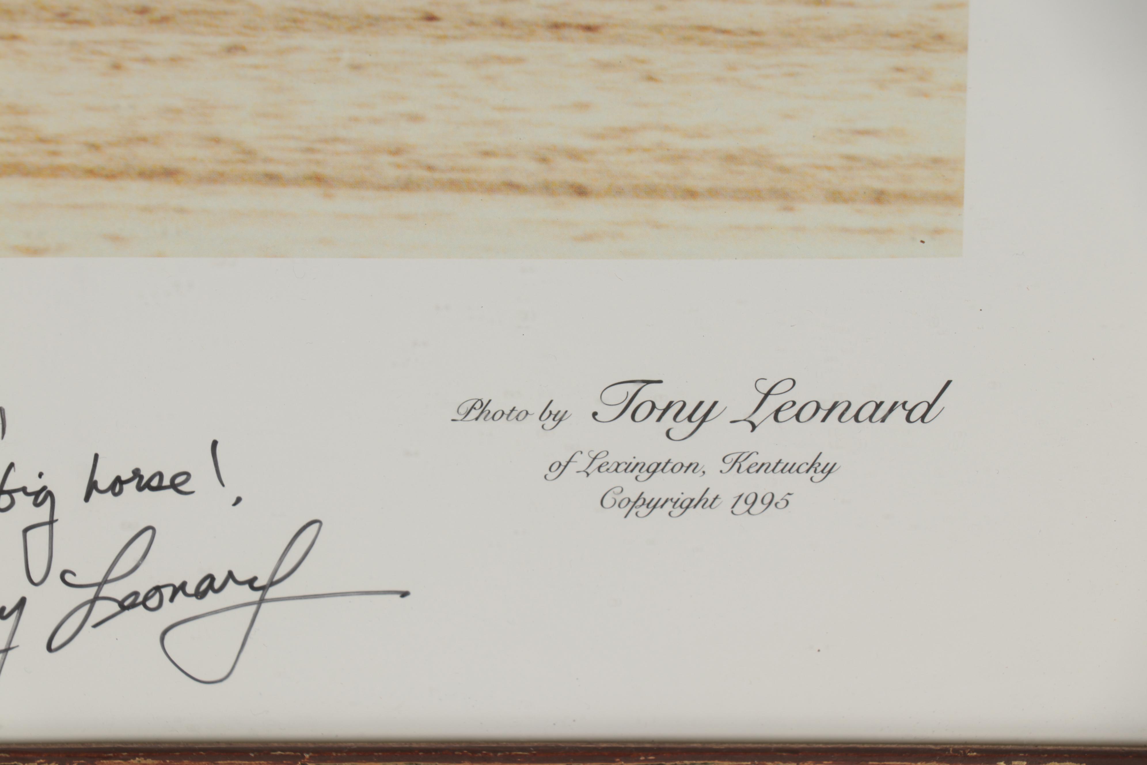 Signed Tony Leonard AP "Cigar, 1995 Breeders Cup Classic" Photo ...