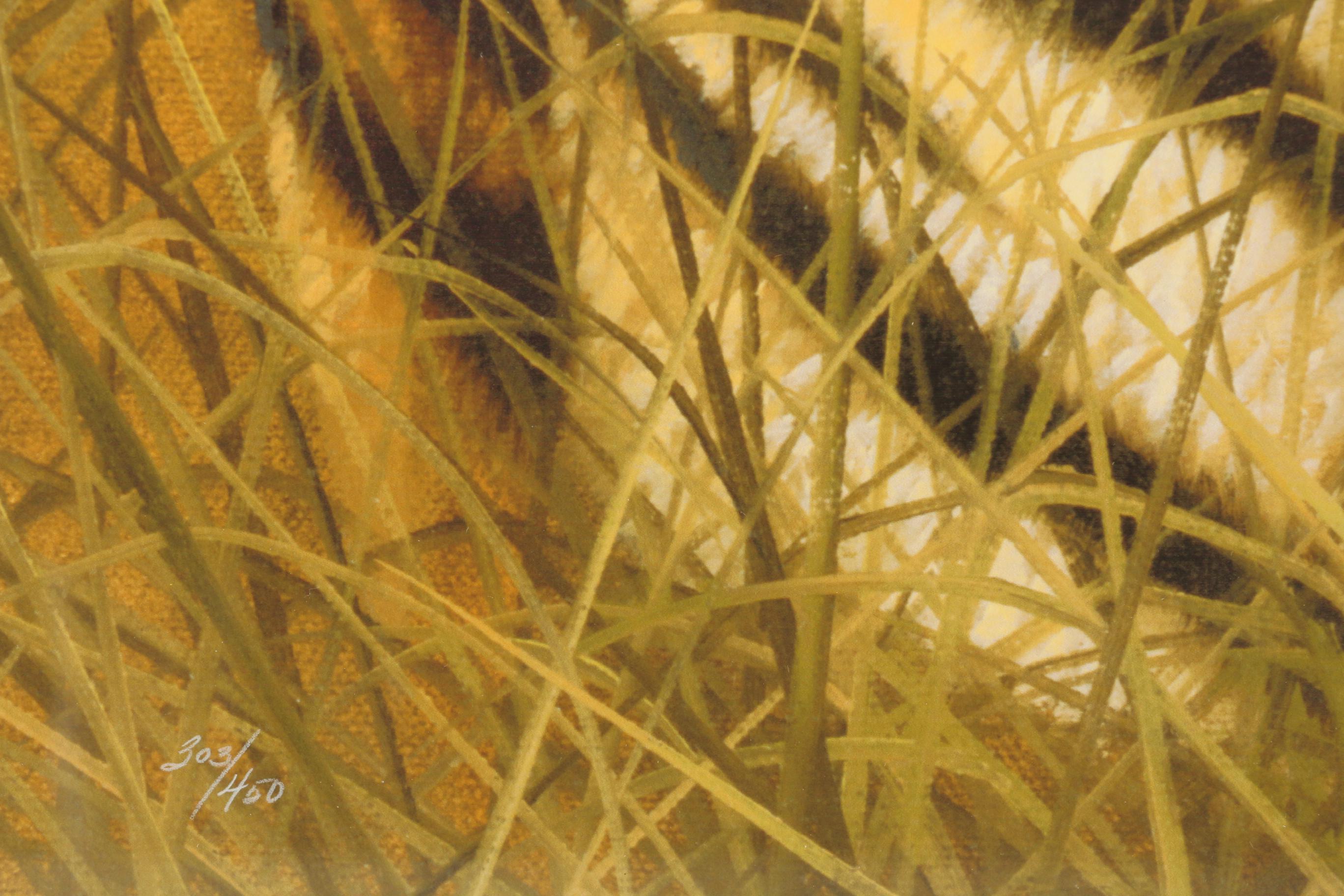 Andrew Bone Giclée "Tiger Study," 21st Century | EBTH