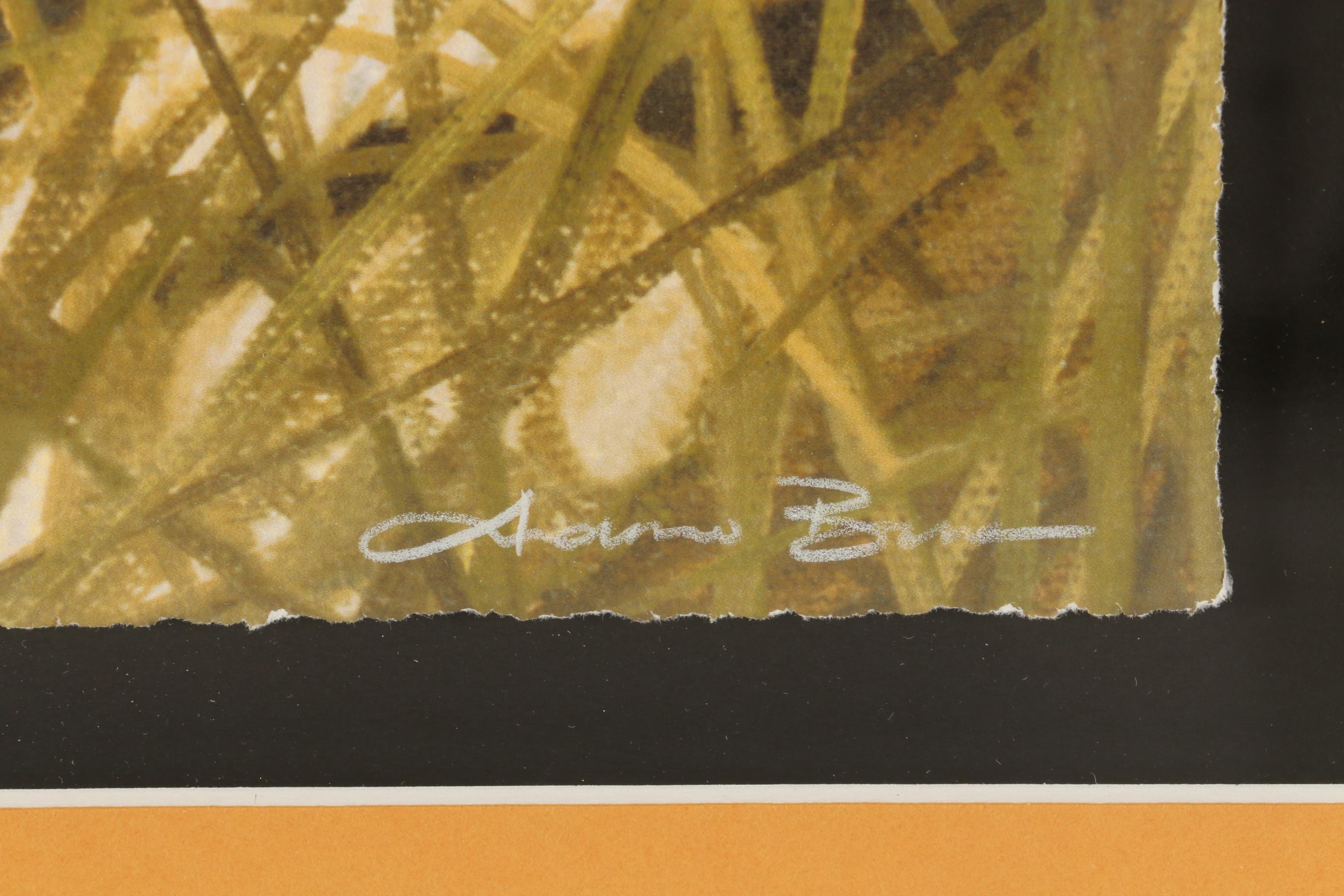 Andrew Bone Giclée "Tiger Study," 21st Century | EBTH