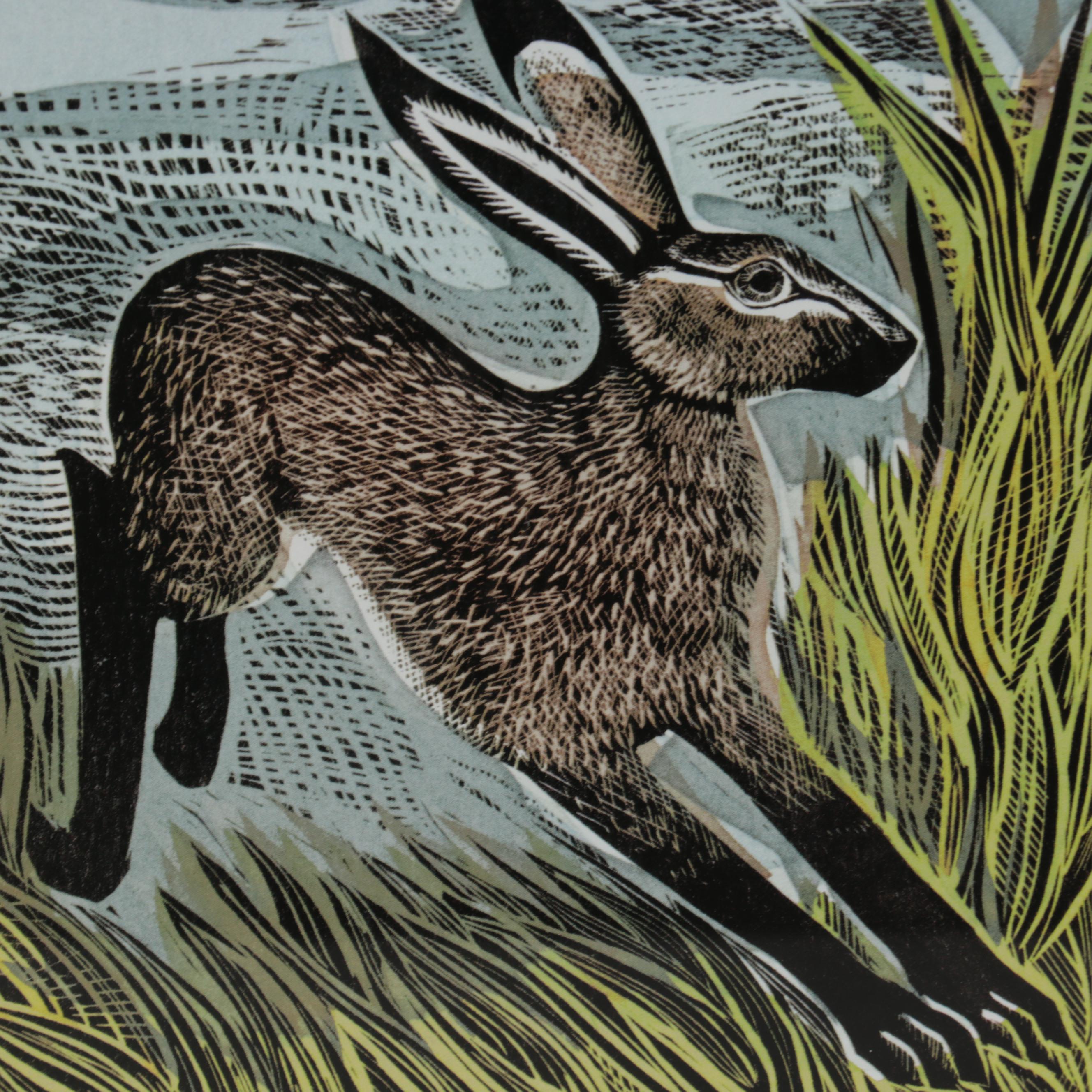 Offset Lithograph After Angela Harding "Young Hare," 21st Century | EBTH
