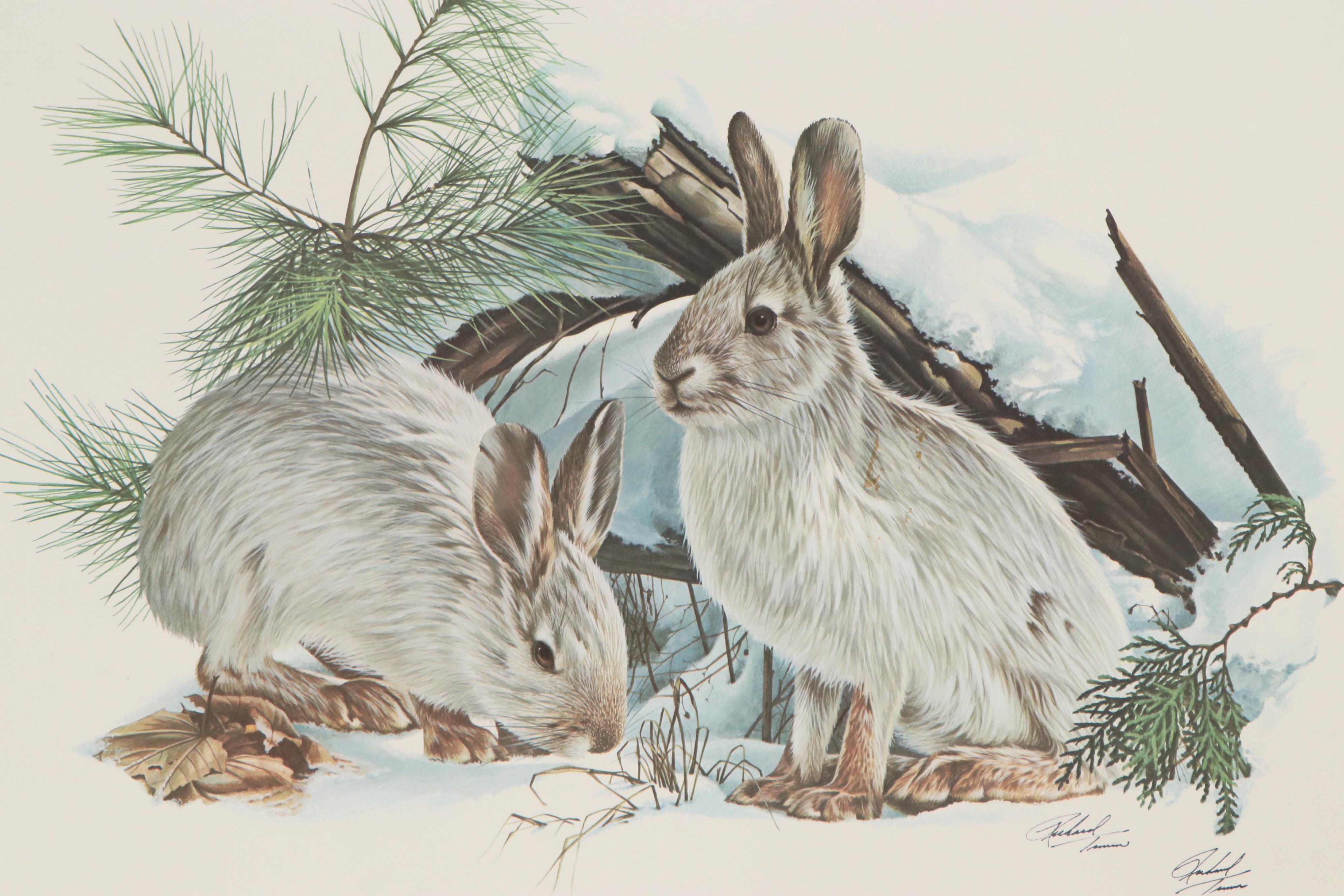 Richard Timm Offset Lithograph "Snowshoe Hare," 1976 | EBTH