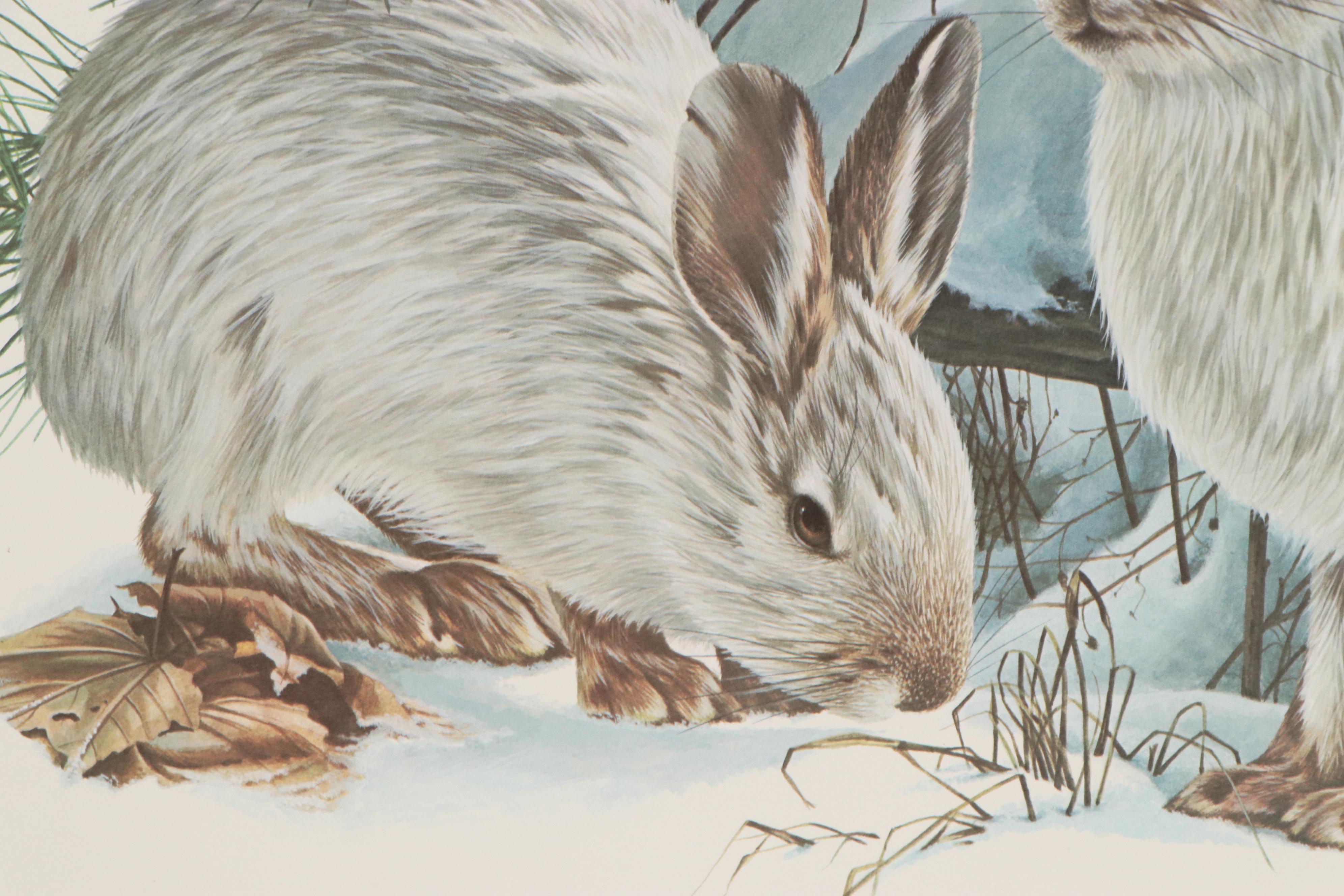 Richard Timm Offset Lithograph "Snowshoe Hare," 1976 | EBTH