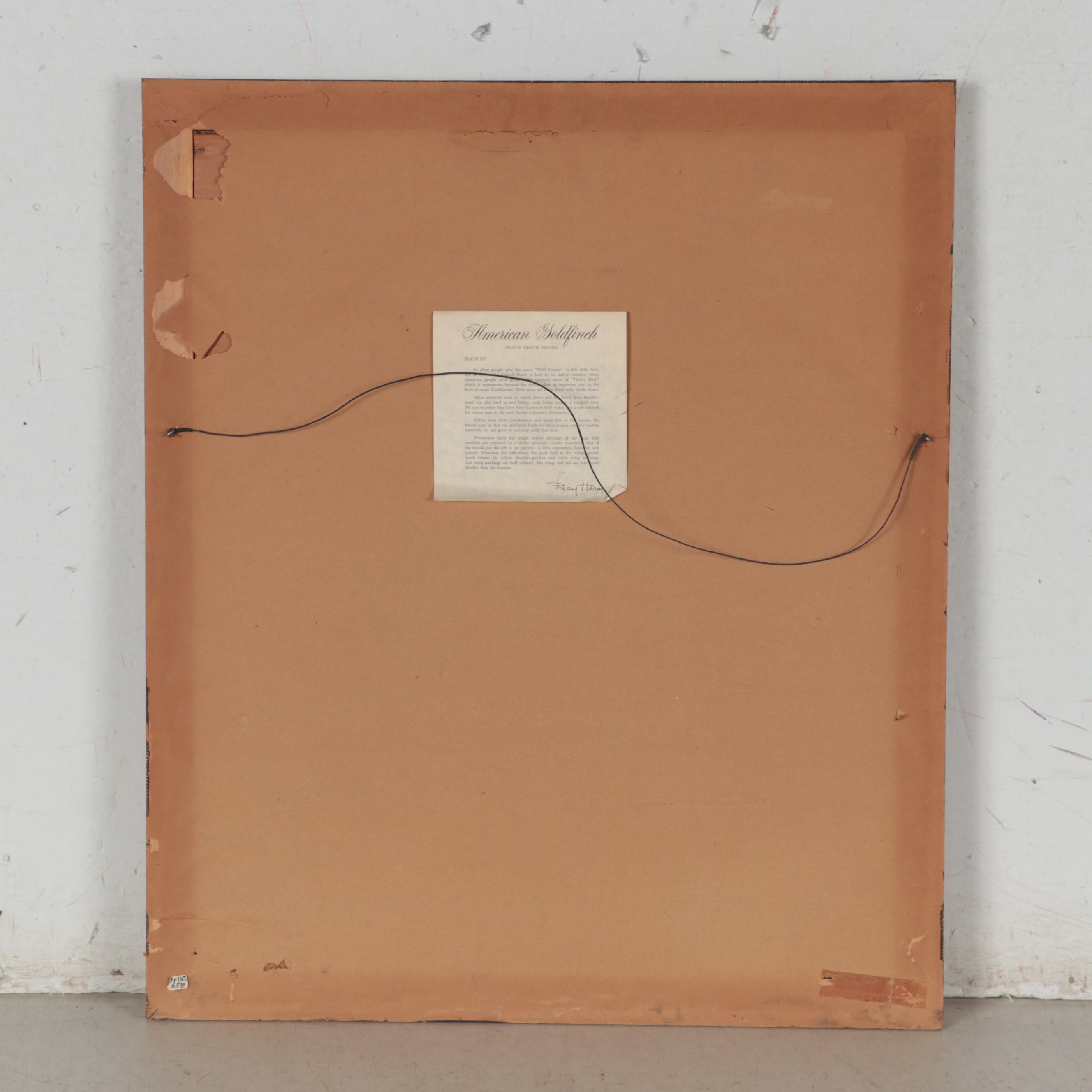 Ray Harm Offset Lithograph "American Goldfinch," Late 20th Century | EBTH