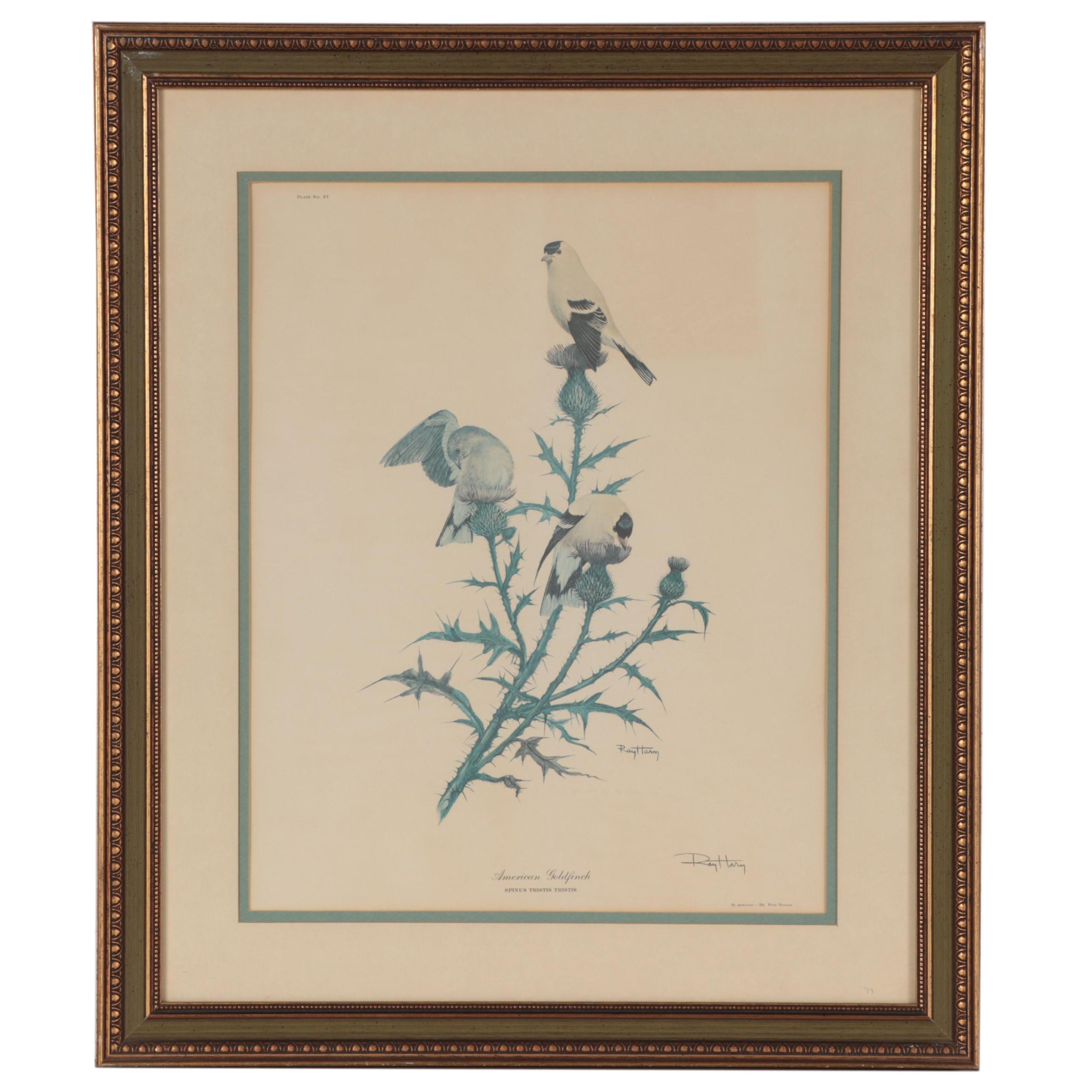 Ray Harm Offset Lithograph "American Goldfinch," Late 20th Century | EBTH