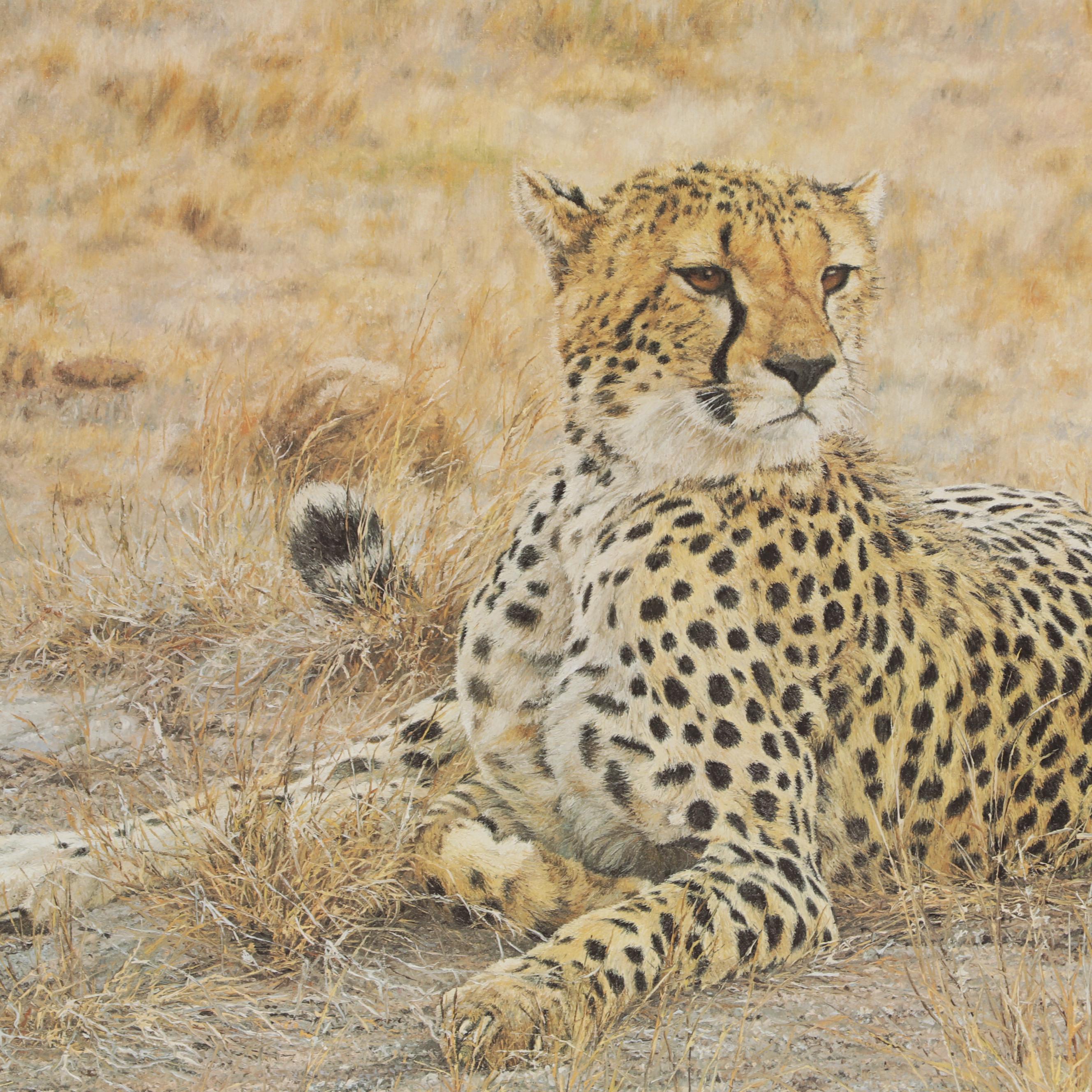 Simon Combes Offset Lithographs of African Cats | EBTH