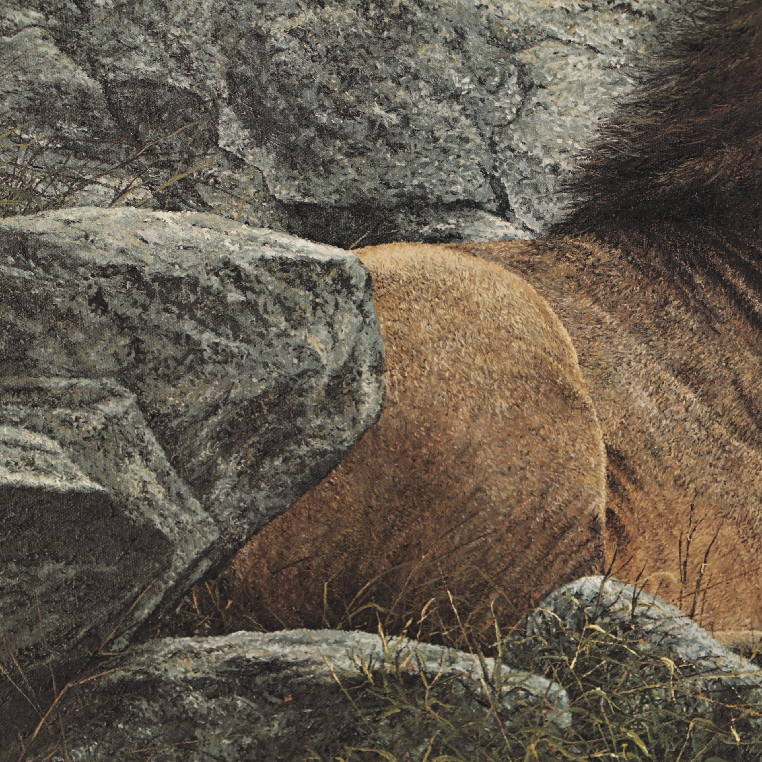 Simon Combes Offset Lithographs of African Cats | EBTH