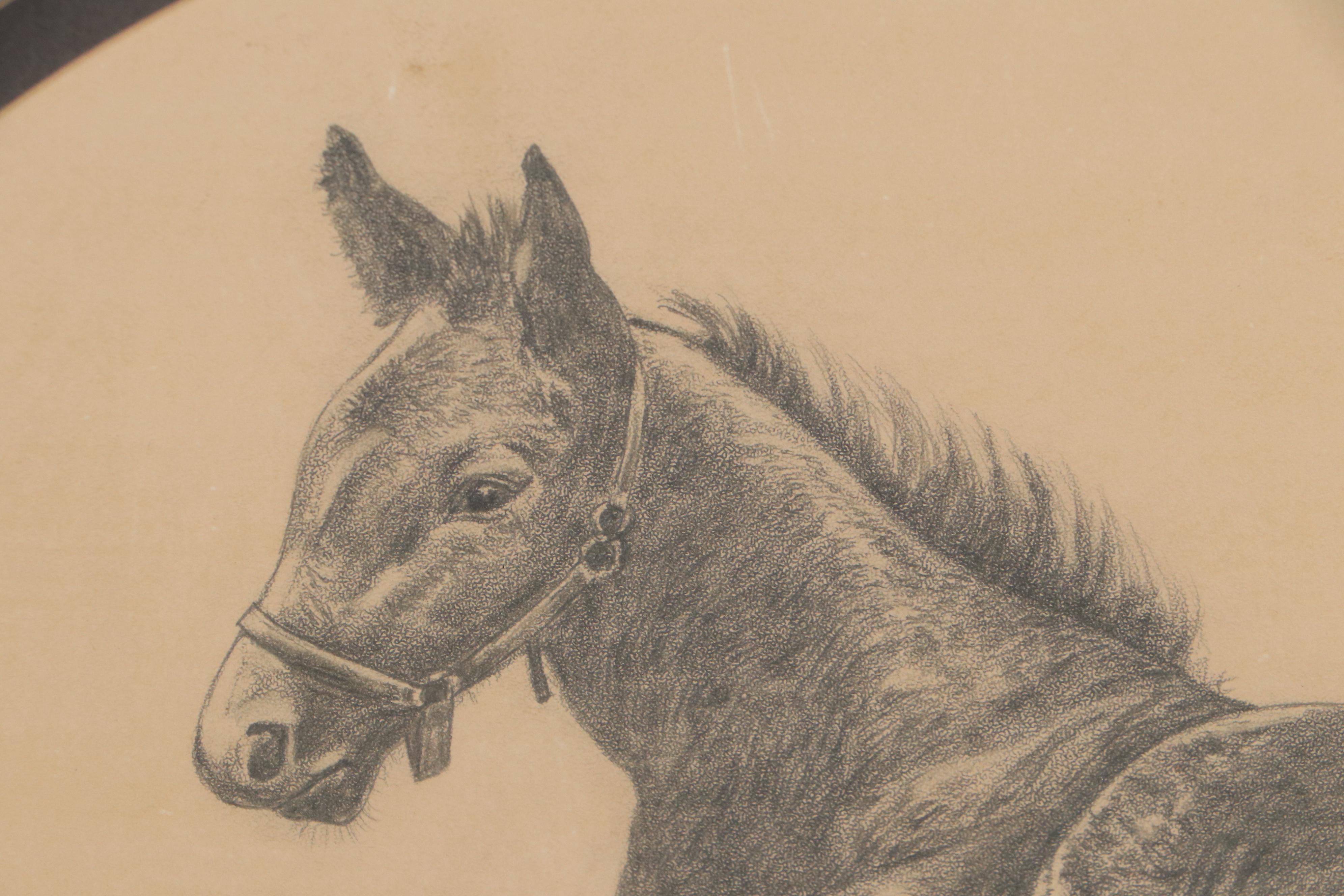 Wanda Hickerson Morgan Graphite Drawing of Foal, 1980 | EBTH