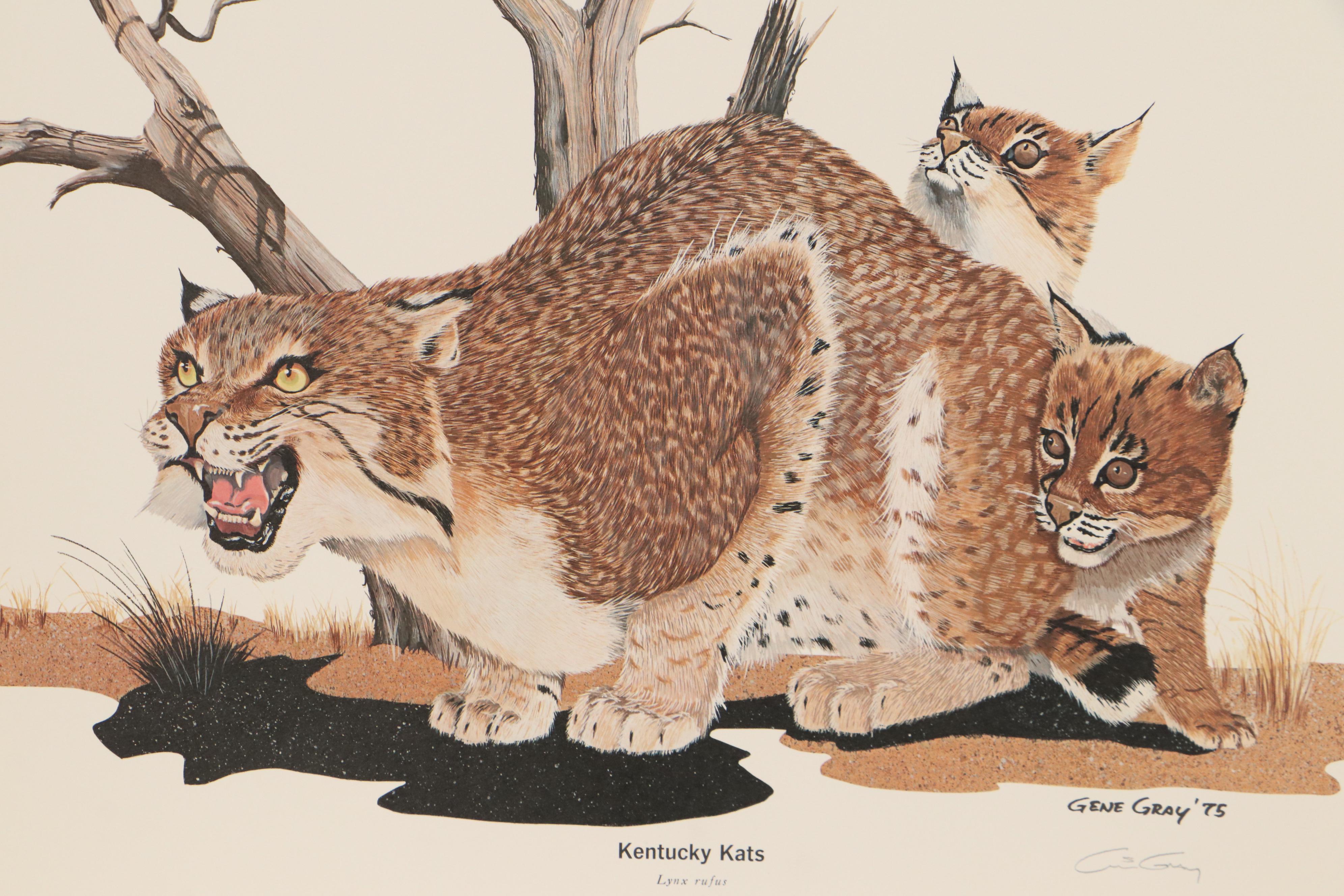 Gene Gray Offset Lithograph "Wildcat," Circa 1975 | EBTH