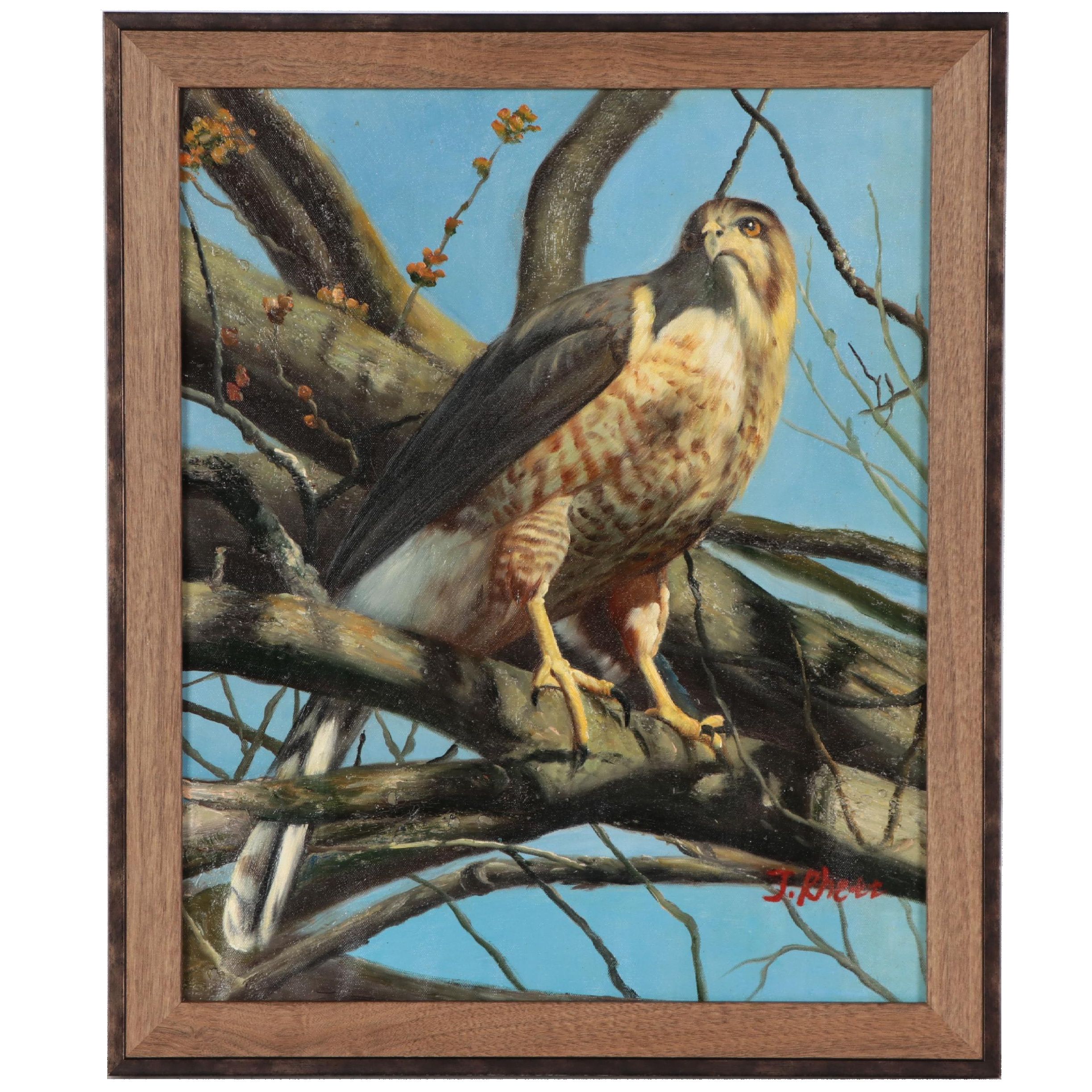 Oil Painting "Red Tailed Hawk" | EBTH