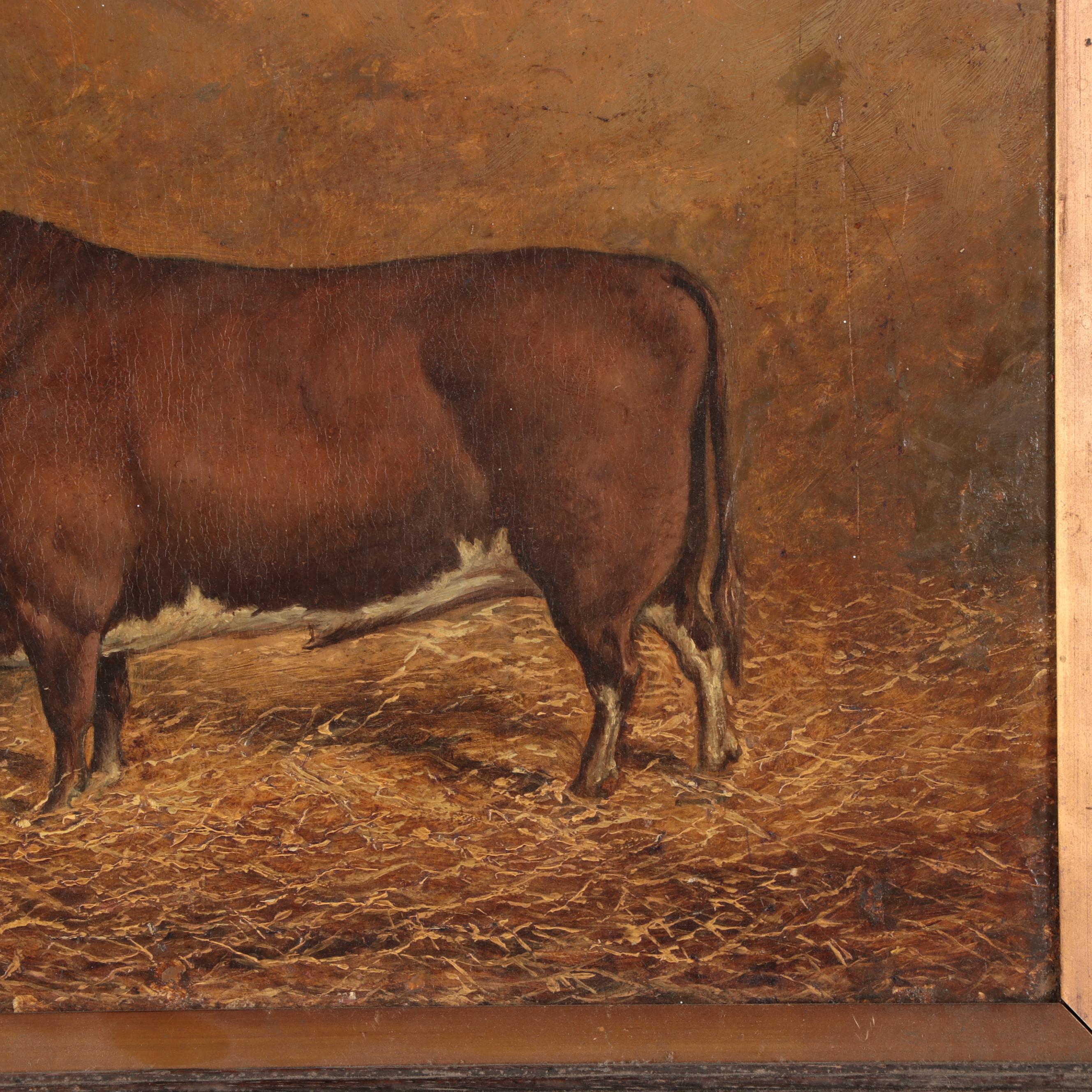 Folk Art Oil Painting of a Cow, 19th Century | EBTH