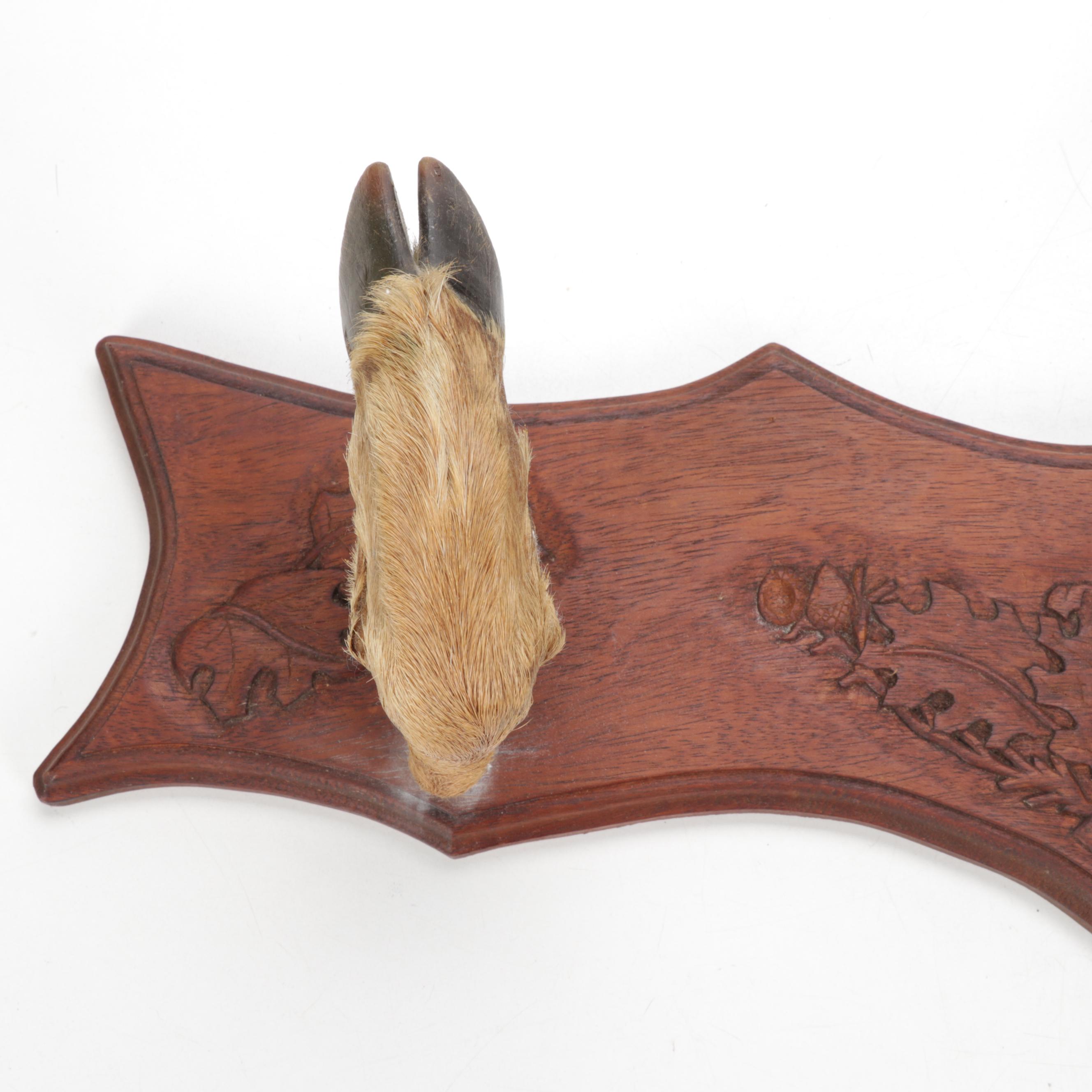 Deer Trophy Mount with Hooves Gun Rack on Carved Walnut Plaque, 1966 | EBTH