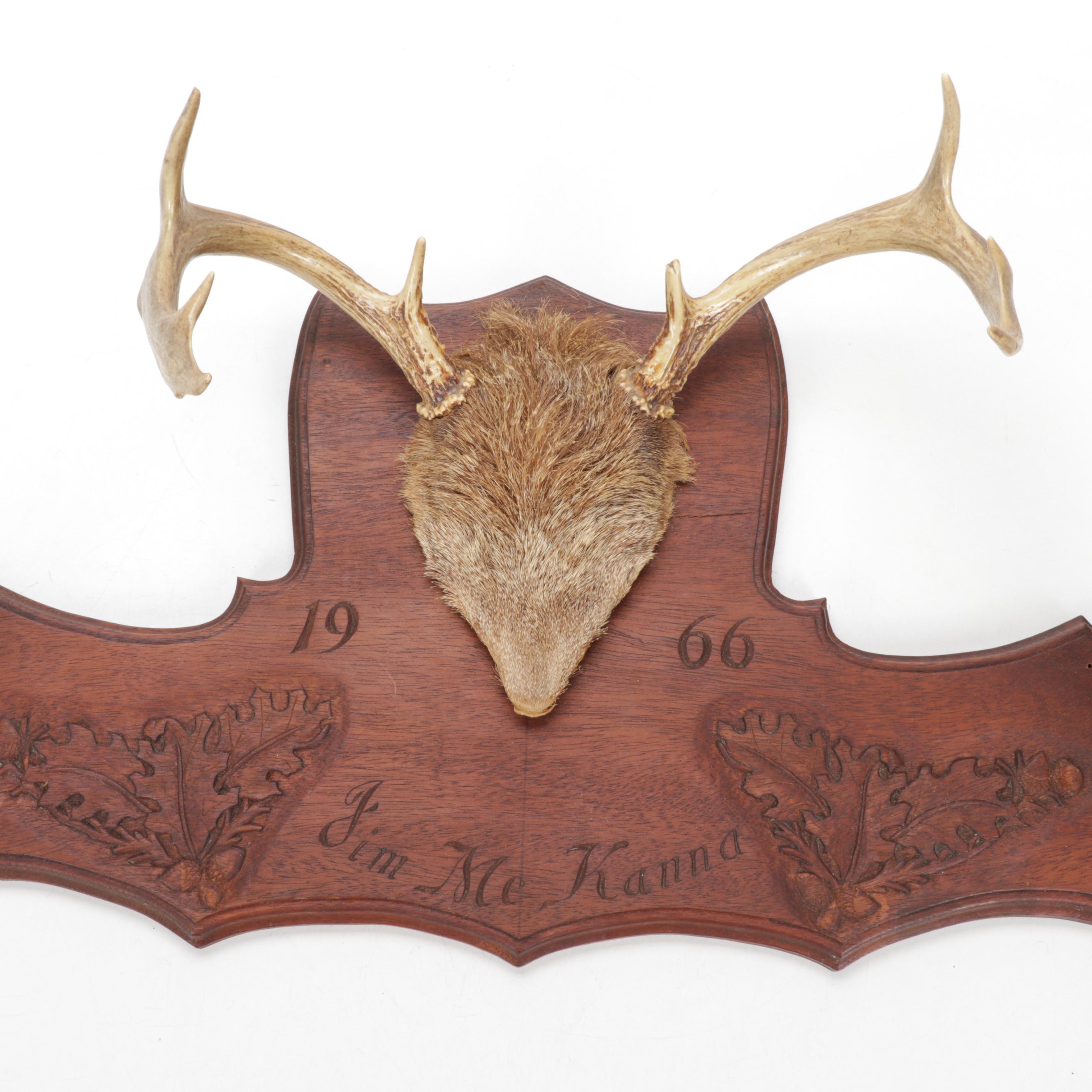 Deer Trophy Mount with Hooves Gun Rack on Carved Walnut Plaque, 1966 | EBTH