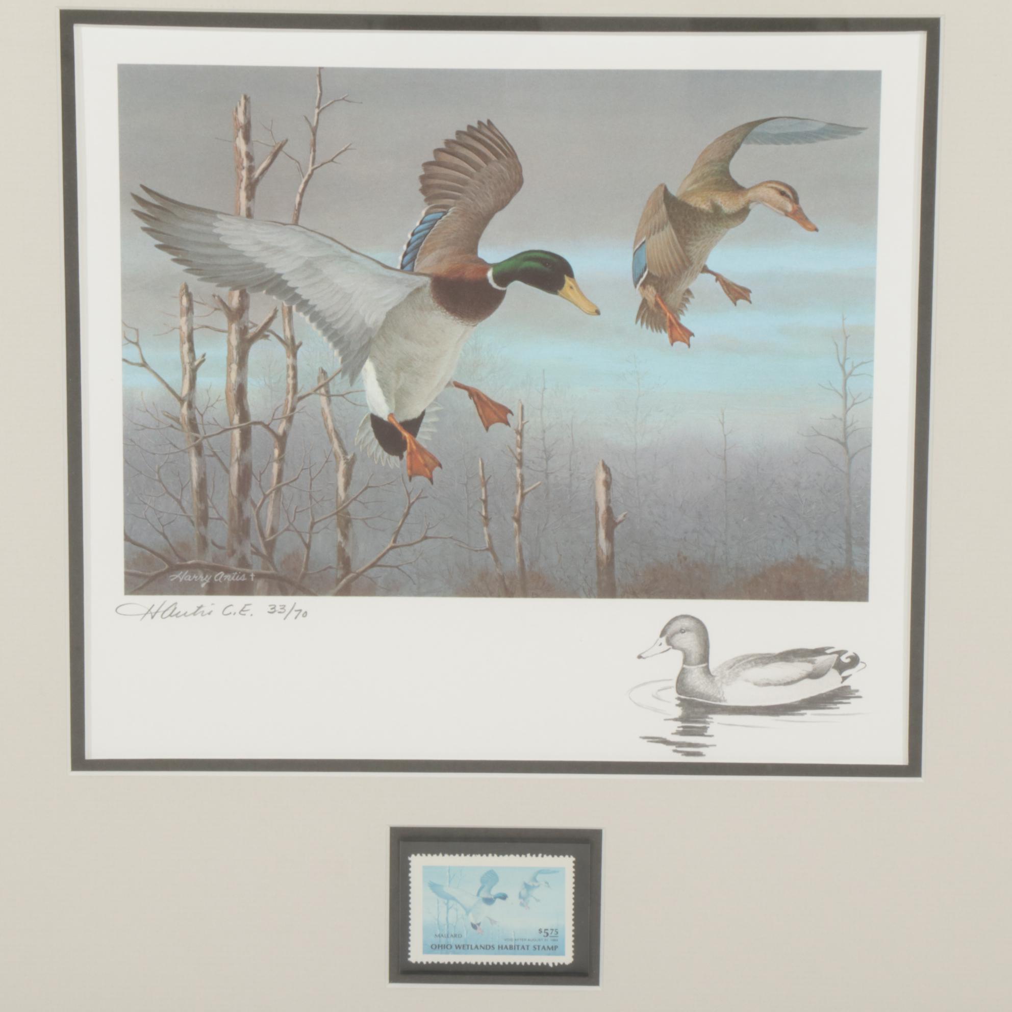 Ducks Unlimited and Ohio Wetlands Habitat Offset Lithographs and ...