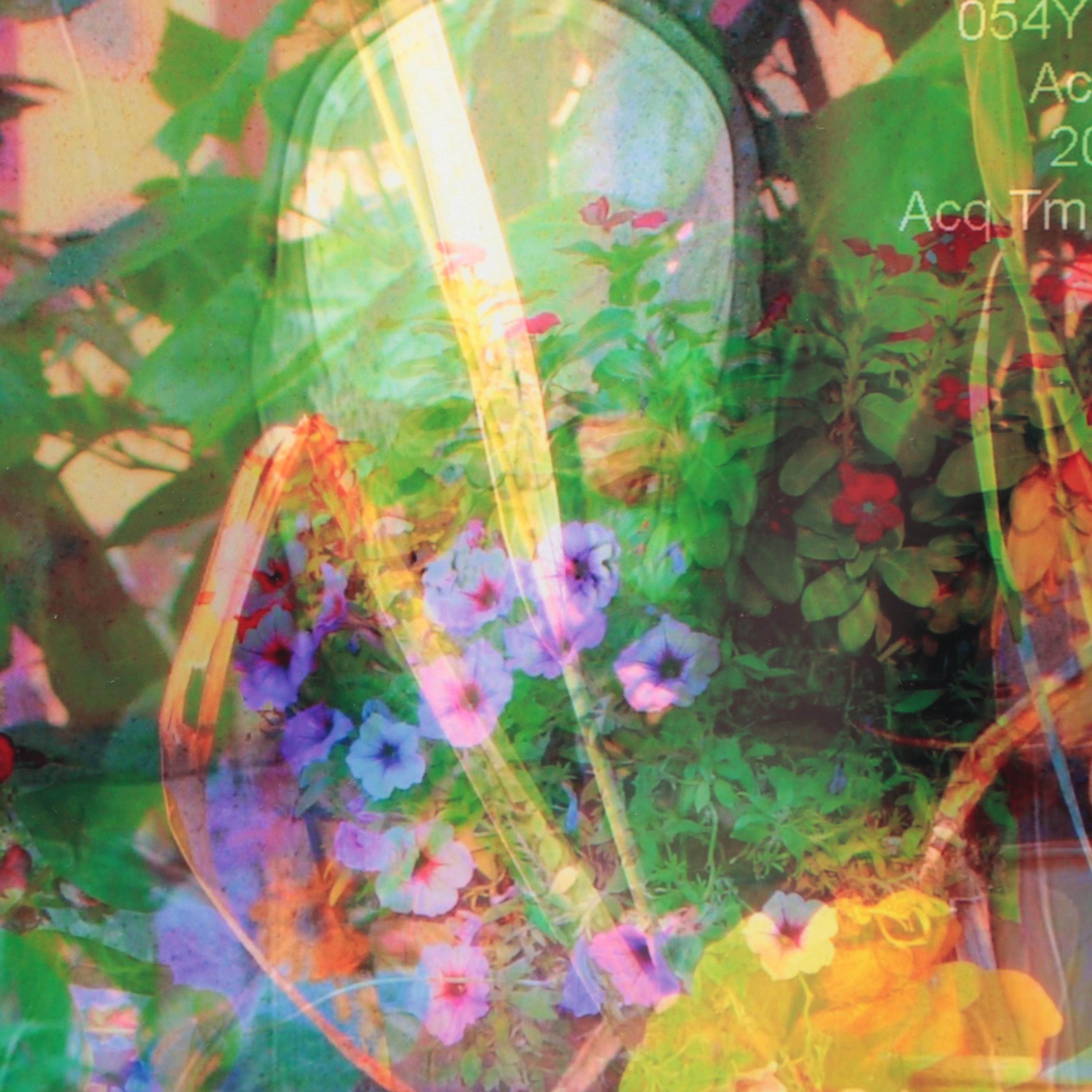 Sarah Roush Digital Collage, 2008 | EBTH