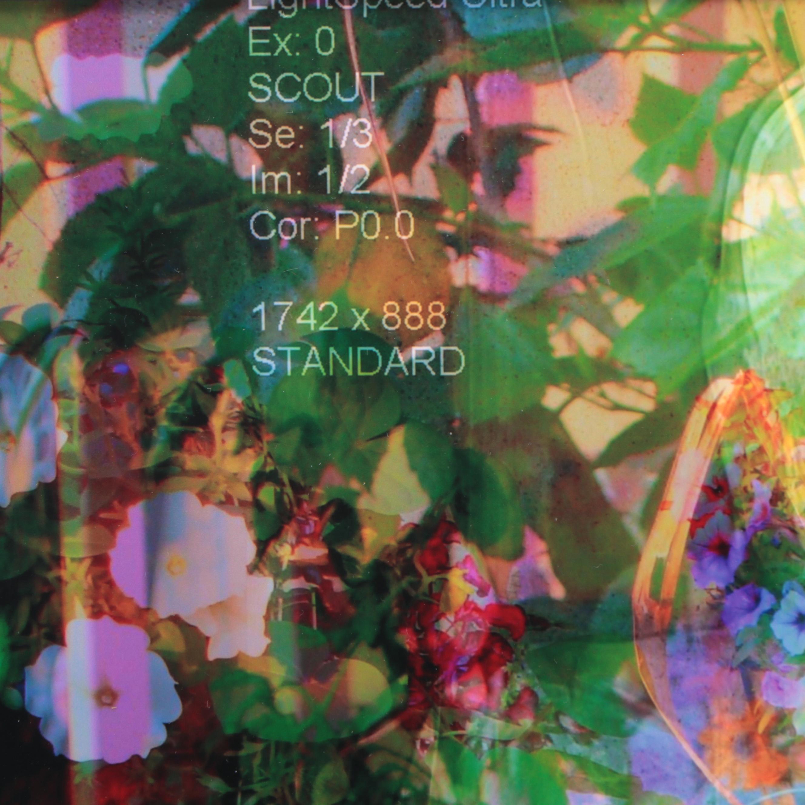 Sarah Roush Digital Collage, 2008 | EBTH