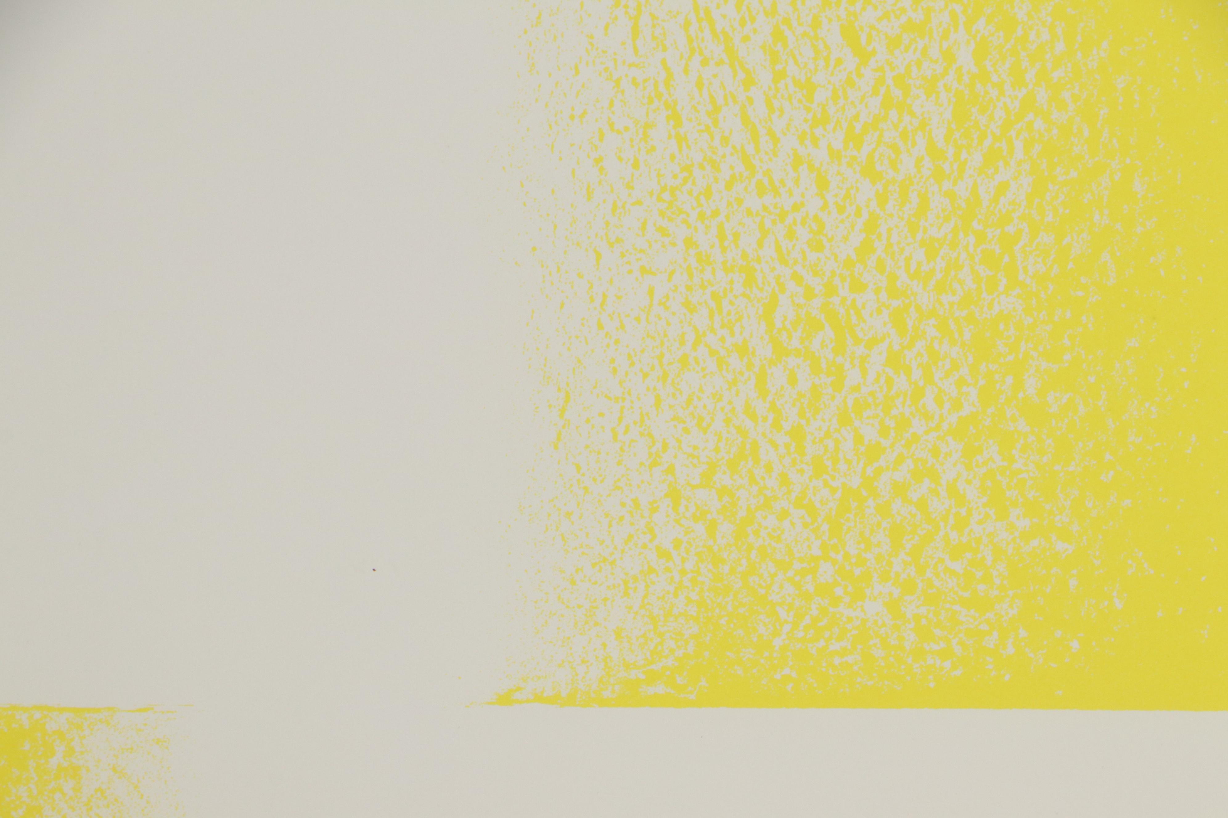 Lithograph After Richard Anuszkiewicz "Yellow Reversed" | EBTH