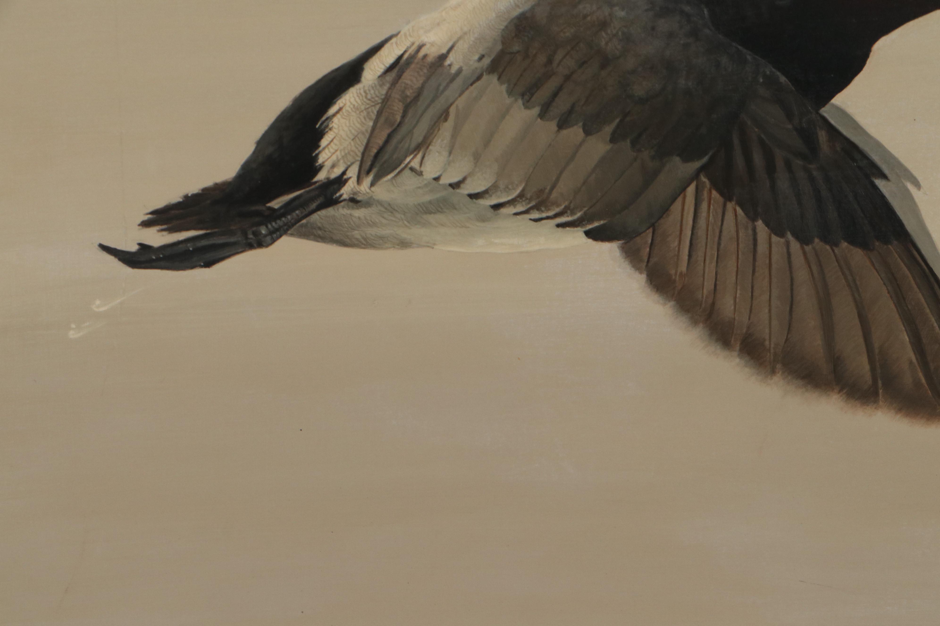 Ray Sexton Wildlife Oil Painting of Bird in Flight, 1982 | EBTH