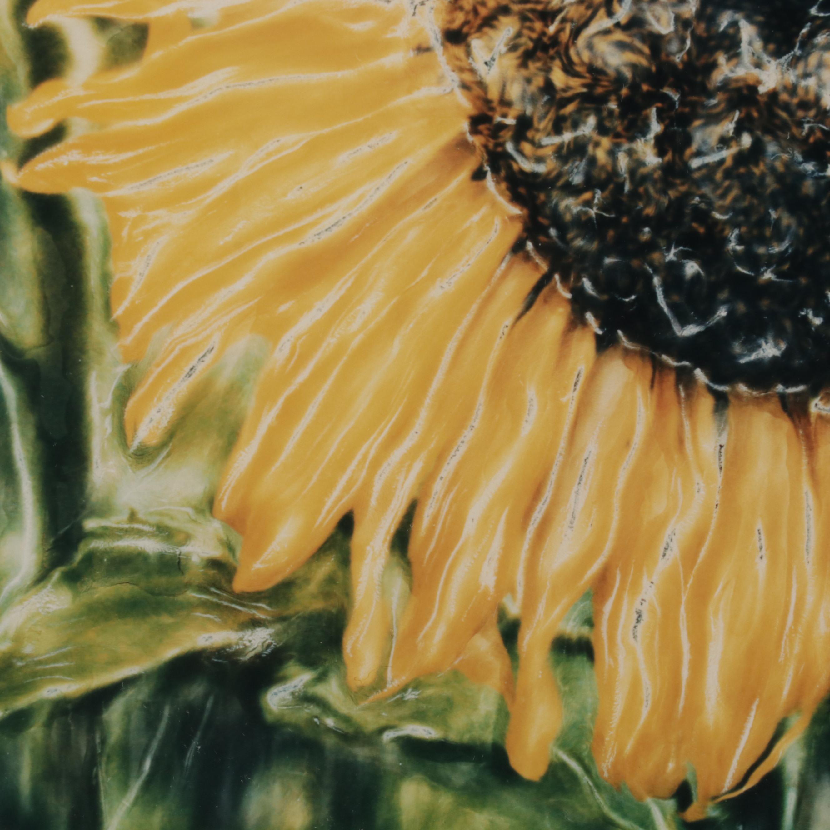 Cynthia Davis Chromogenic Photograph "Flor del Sol," Circa 1994 | EBTH