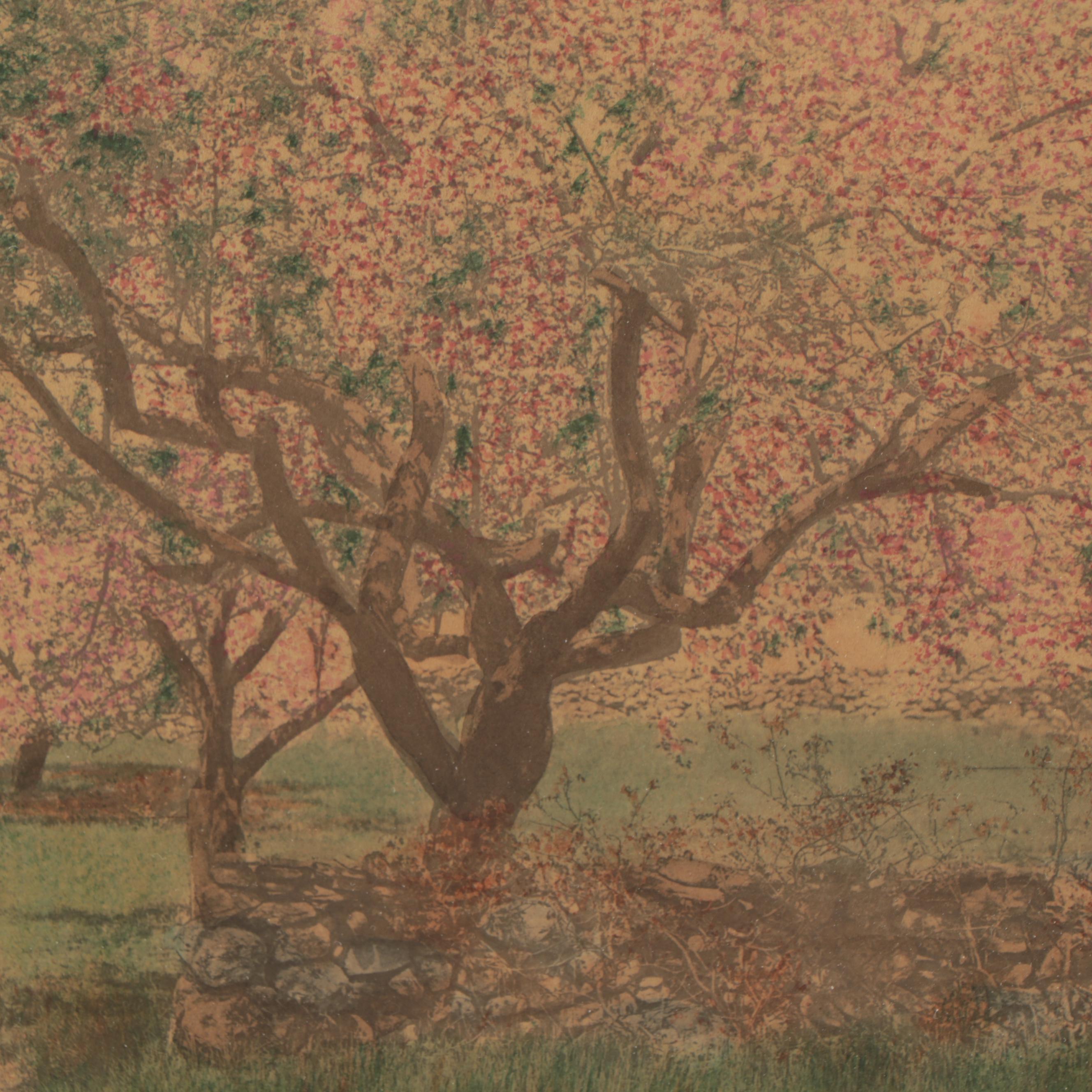 Wallace Nutting Hand-Colored Photograph "The Way Through the Orchard ...