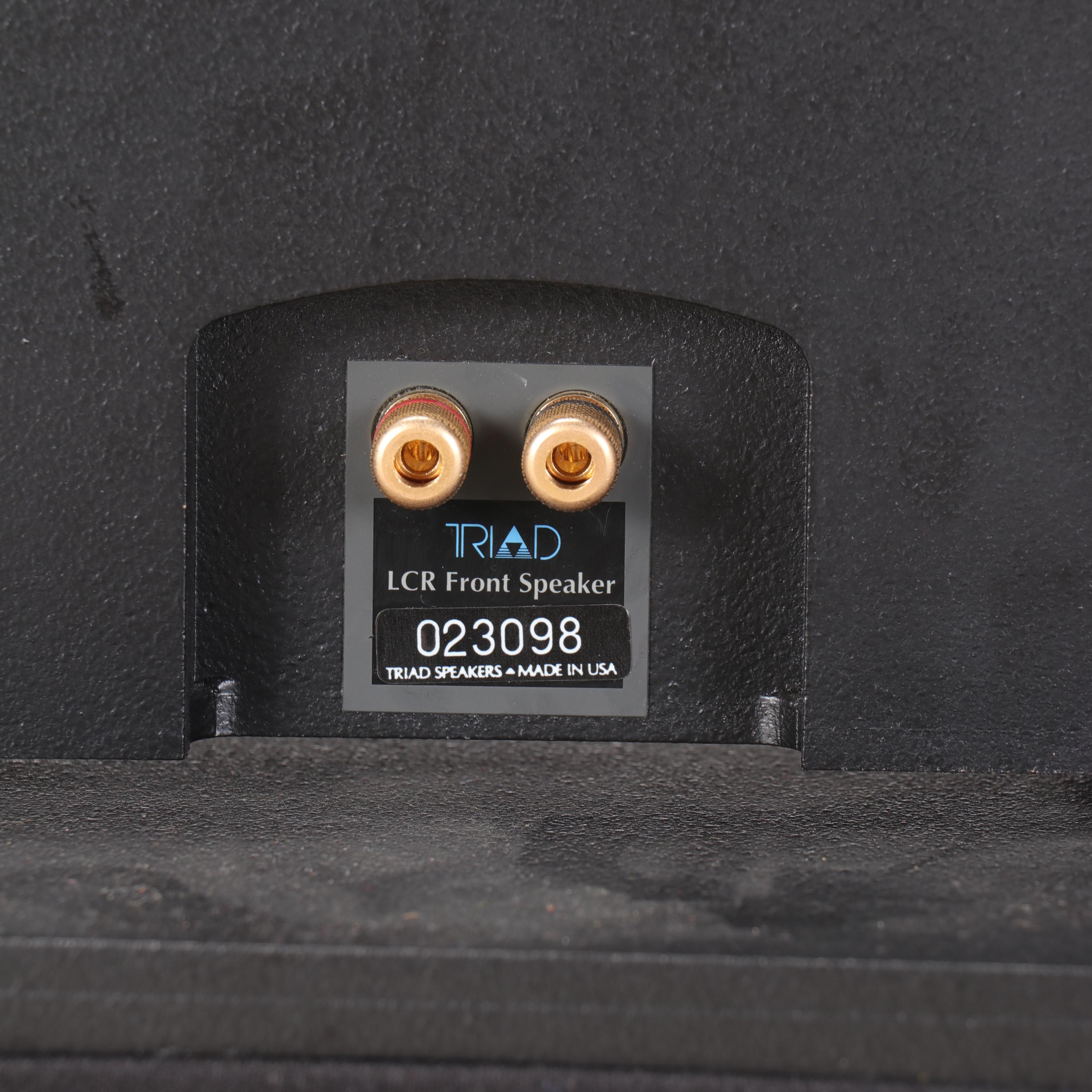 Triad Loudspeakers with Pair of PowerSub Subwoofer | EBTH