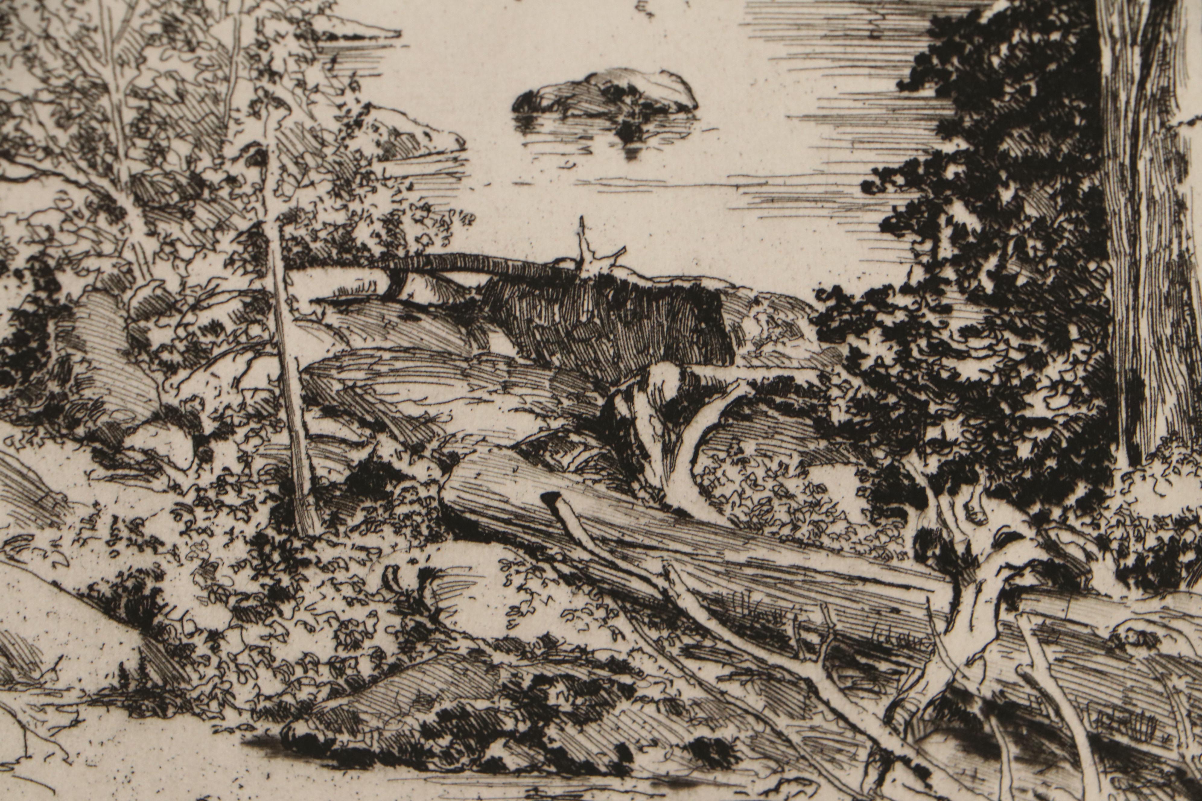 Lee Sturges Wilderness Landscape Etchings | EBTH