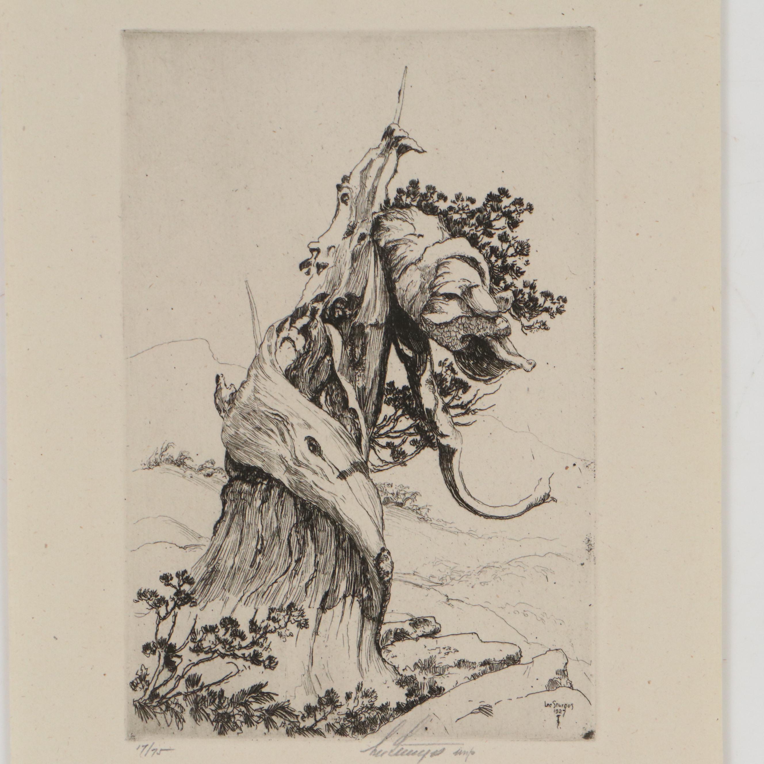 Lee Sturges Etching Prints, Early 20th Century | EBTH