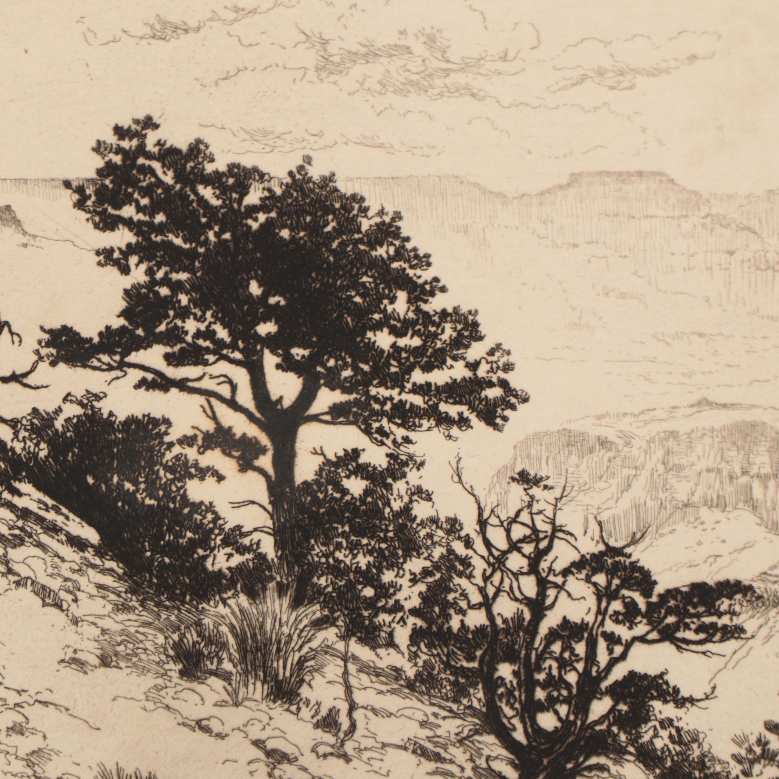 Lee Sturges Landscape Etching "Grand Canyon," Early 20th Century | EBTH
