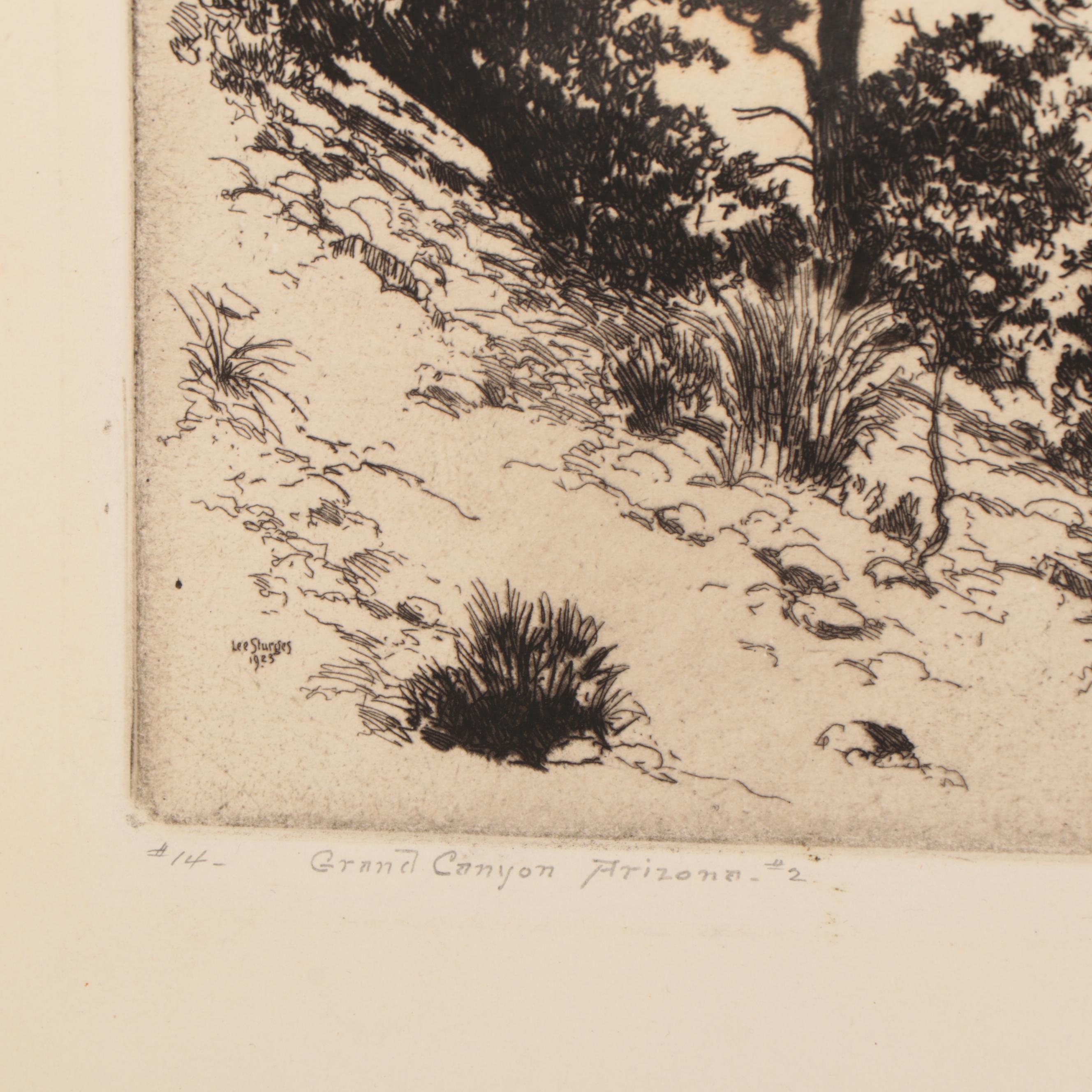 Lee Sturges Landscape Etching "Grand Canyon," Early 20th Century | EBTH