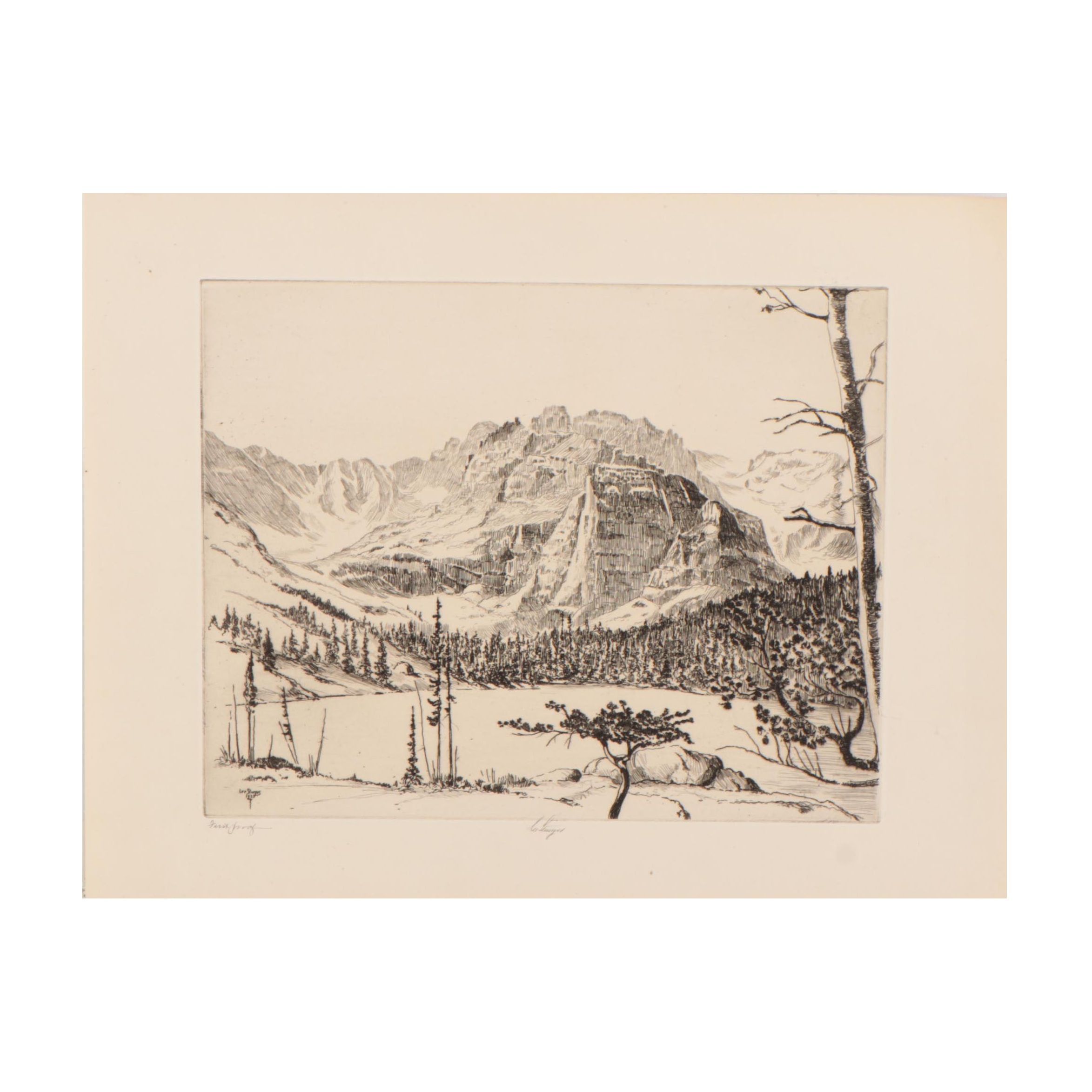 Lee Sturges Landscape Etching "Nature's Architecture," Early 20th ...