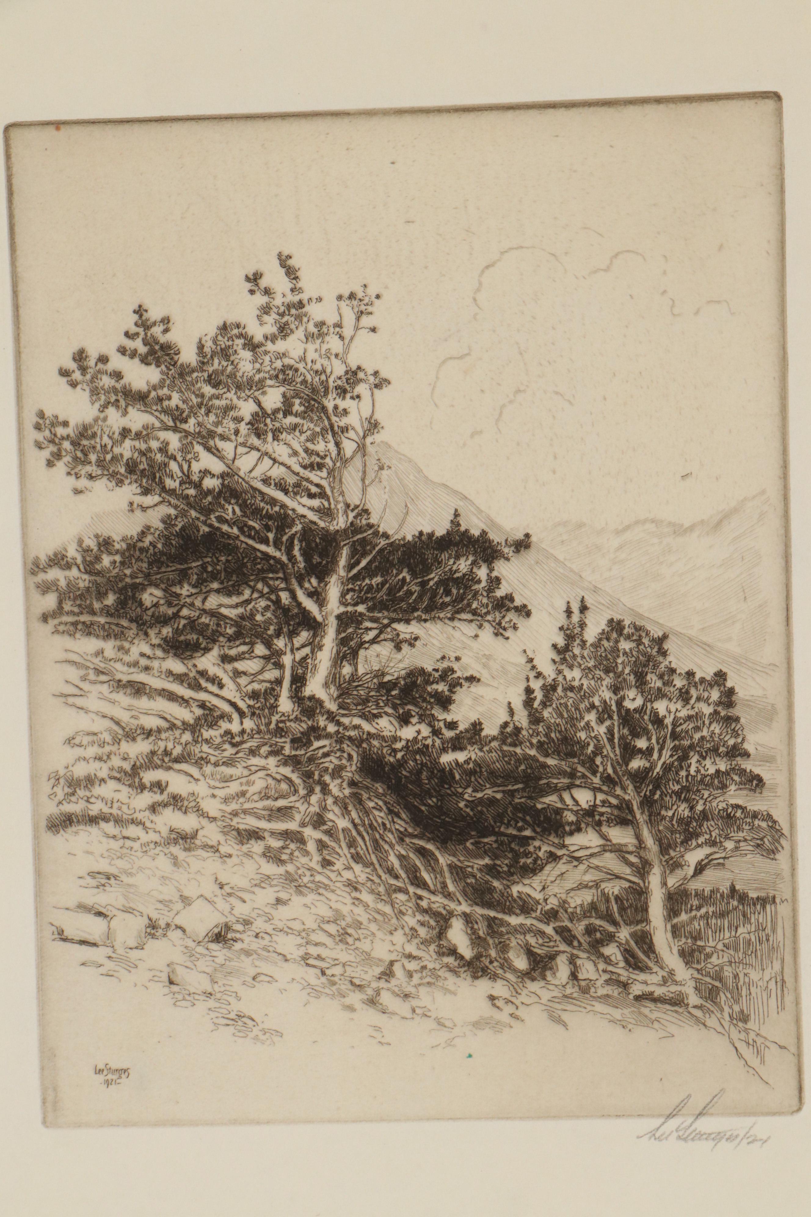 Lee Sturges Landscape Etchings, Early 20th Century | EBTH