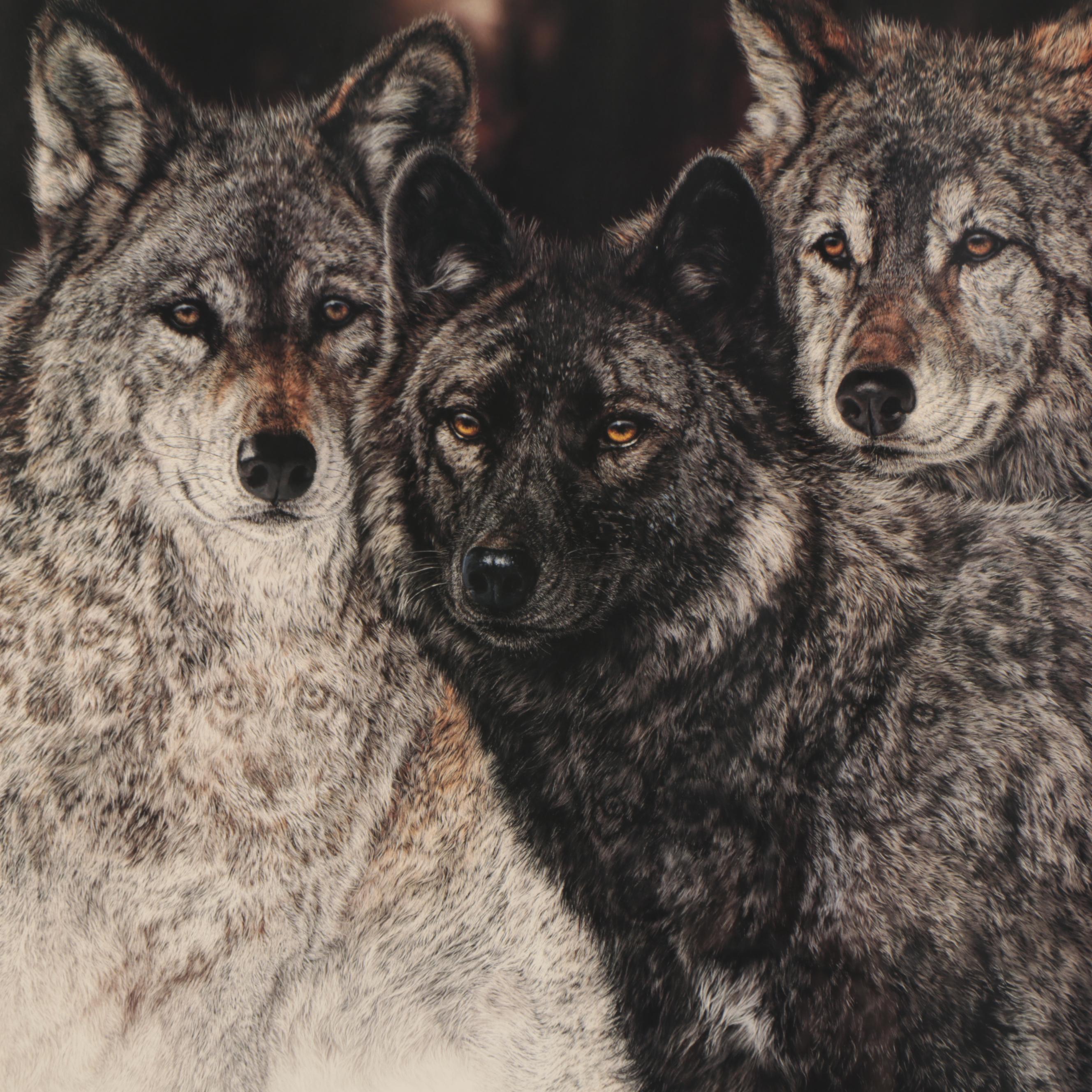 Judy Larson Offset Lithograph "Silent Spring," Late 20th Century | EBTH