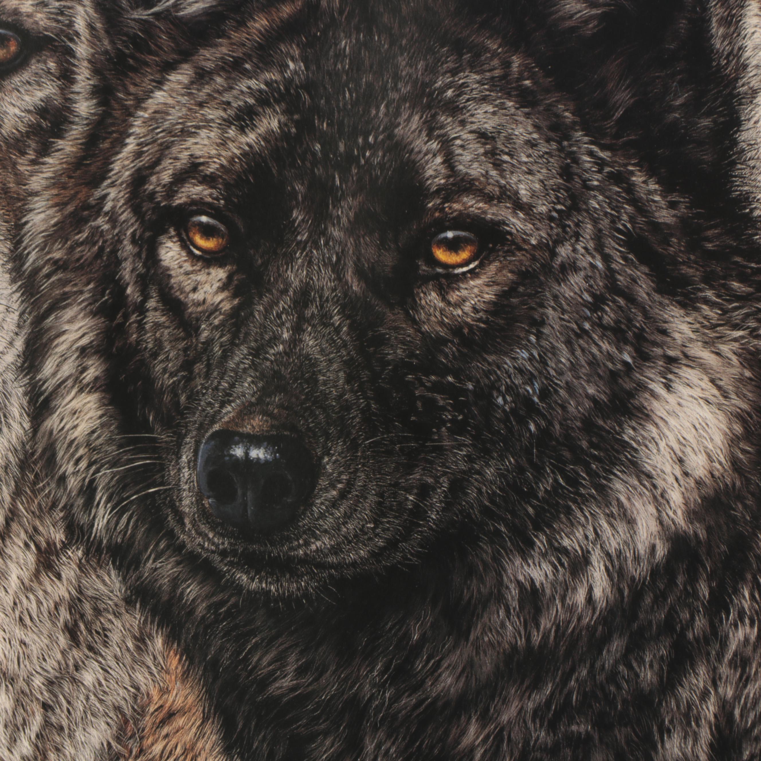 Judy Larson Offset Lithograph "Silent Spring," Late 20th Century | EBTH