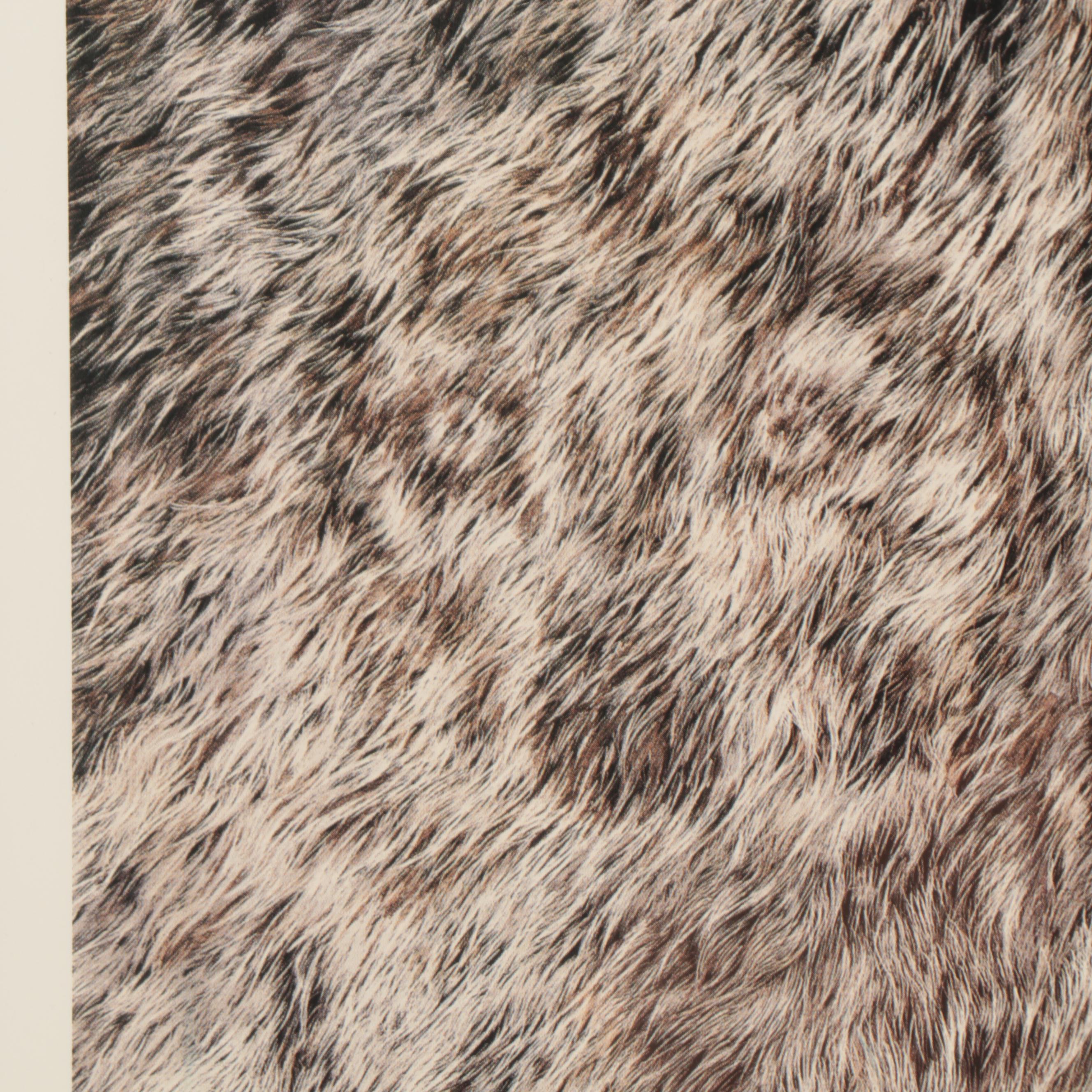 Judy Larson Offset Lithograph "Silent Spring," Late 20th Century | EBTH