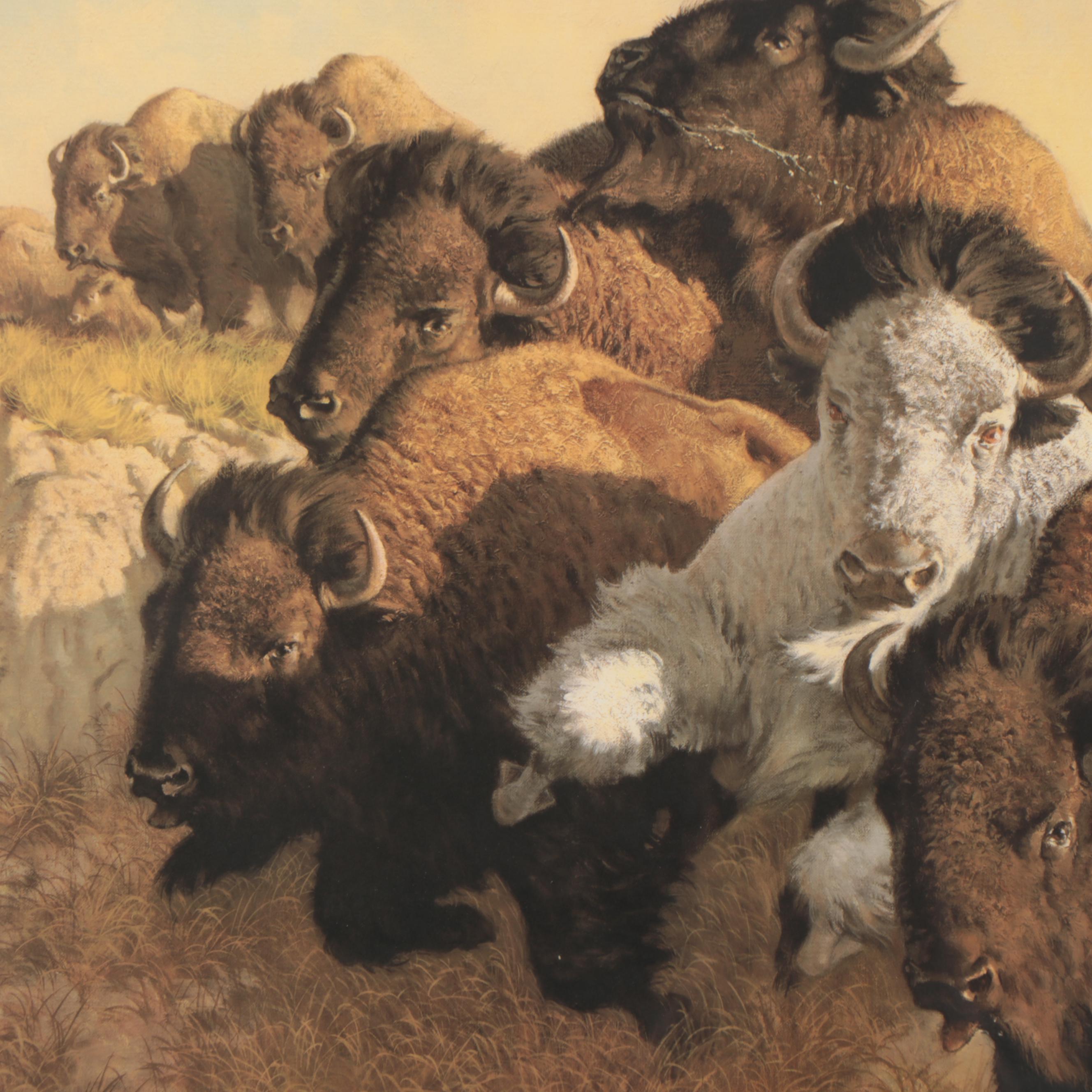 Offset Lithograph After Frank McCarthy "In Pursuit of the White Buffalo ...