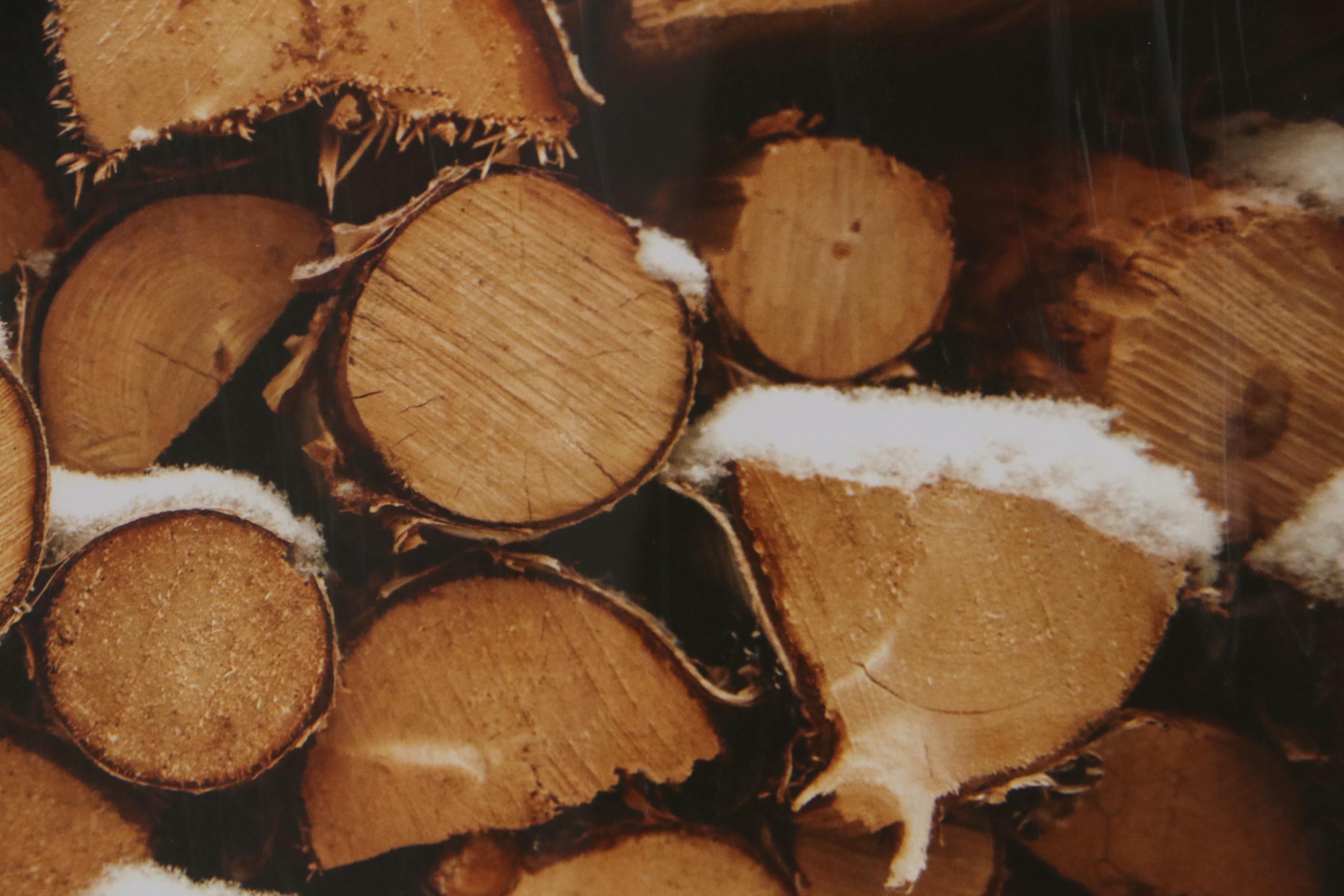 Offset Lithograph of Stacked Logs with Snow | EBTH