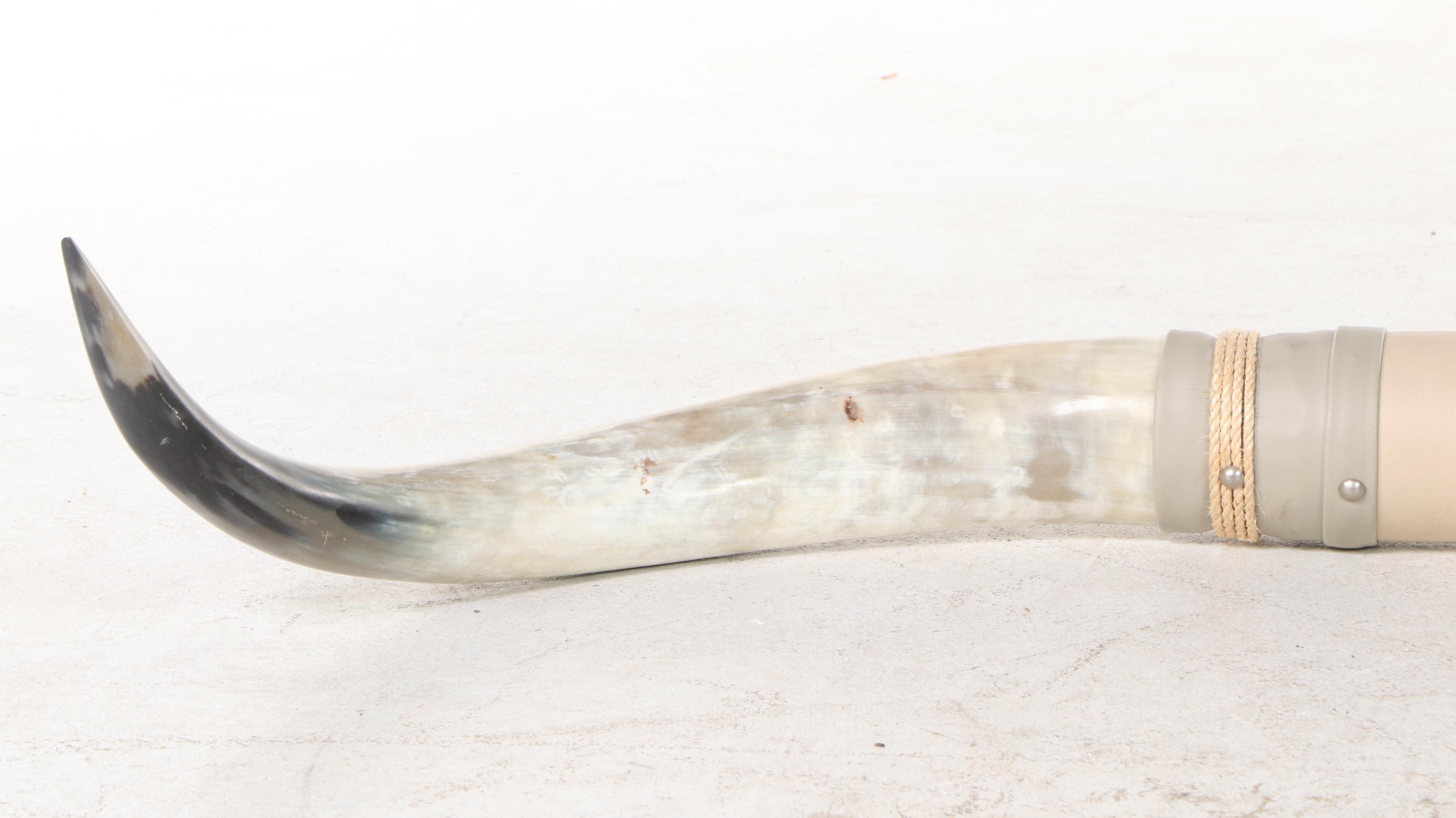 Hide Wrapped Mounted Longhorn Steer Horns | EBTH