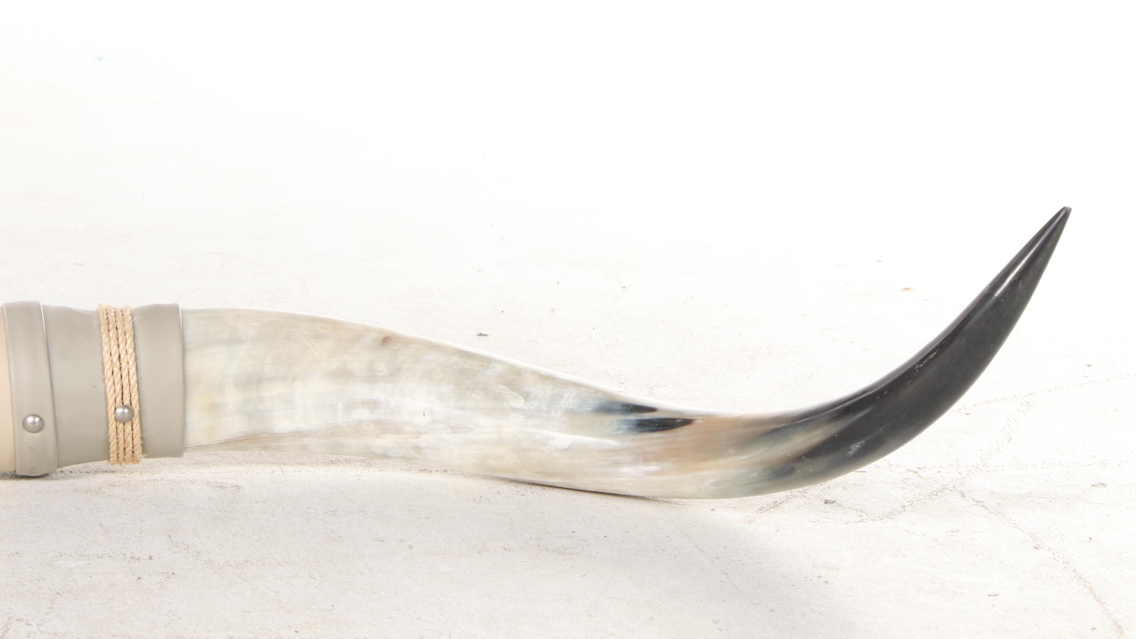 Hide Wrapped Mounted Longhorn Steer Horns | EBTH