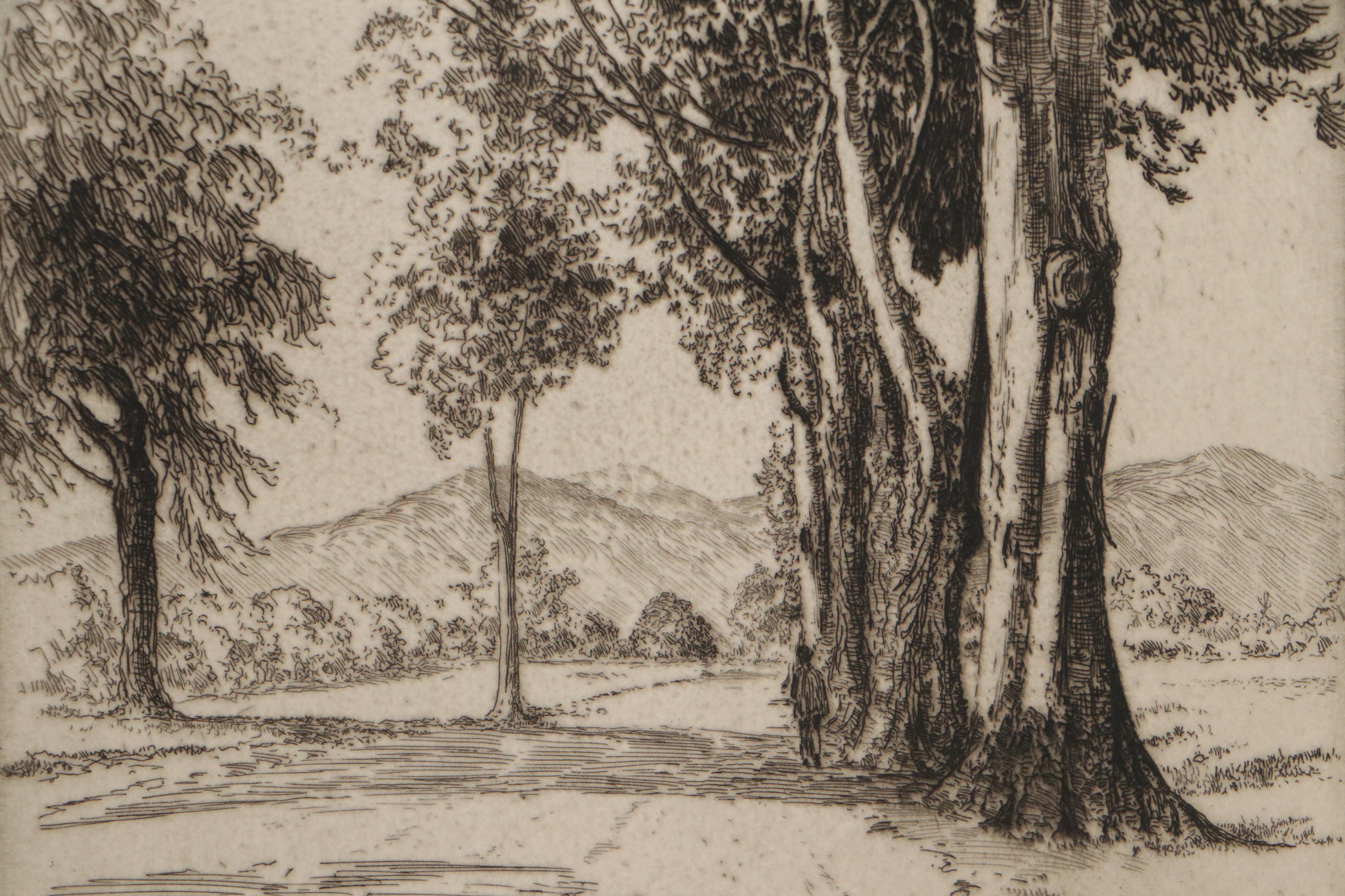 Lee Sturges Landscape Etching "Eucalyptus Trees, California," 1921 | EBTH