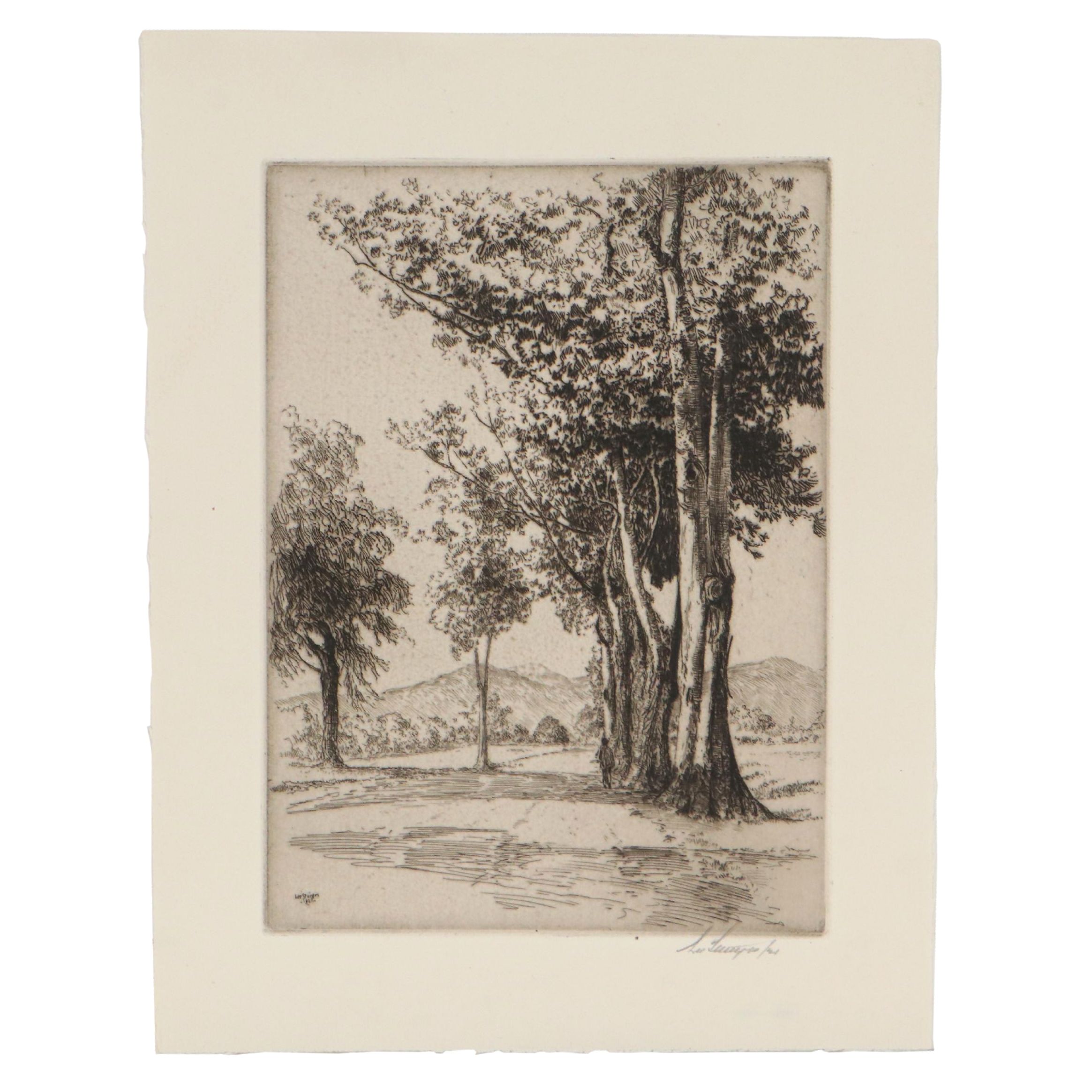 Lee Sturges Landscape Etching "Eucalyptus Trees, California," 1921 | EBTH