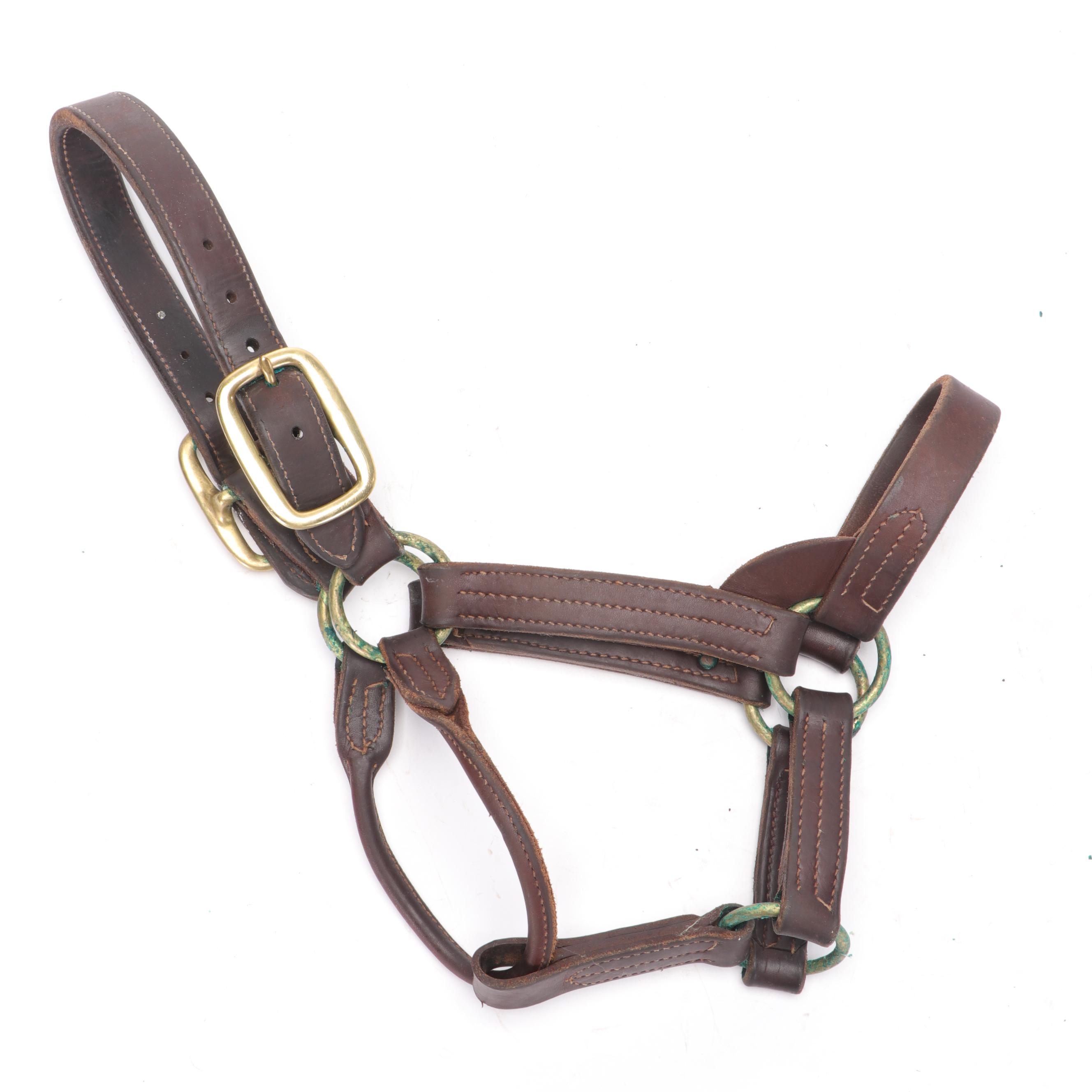 Claiborne Farm Danzig, Monarchos and Seeking the Gold Horse Barn ...