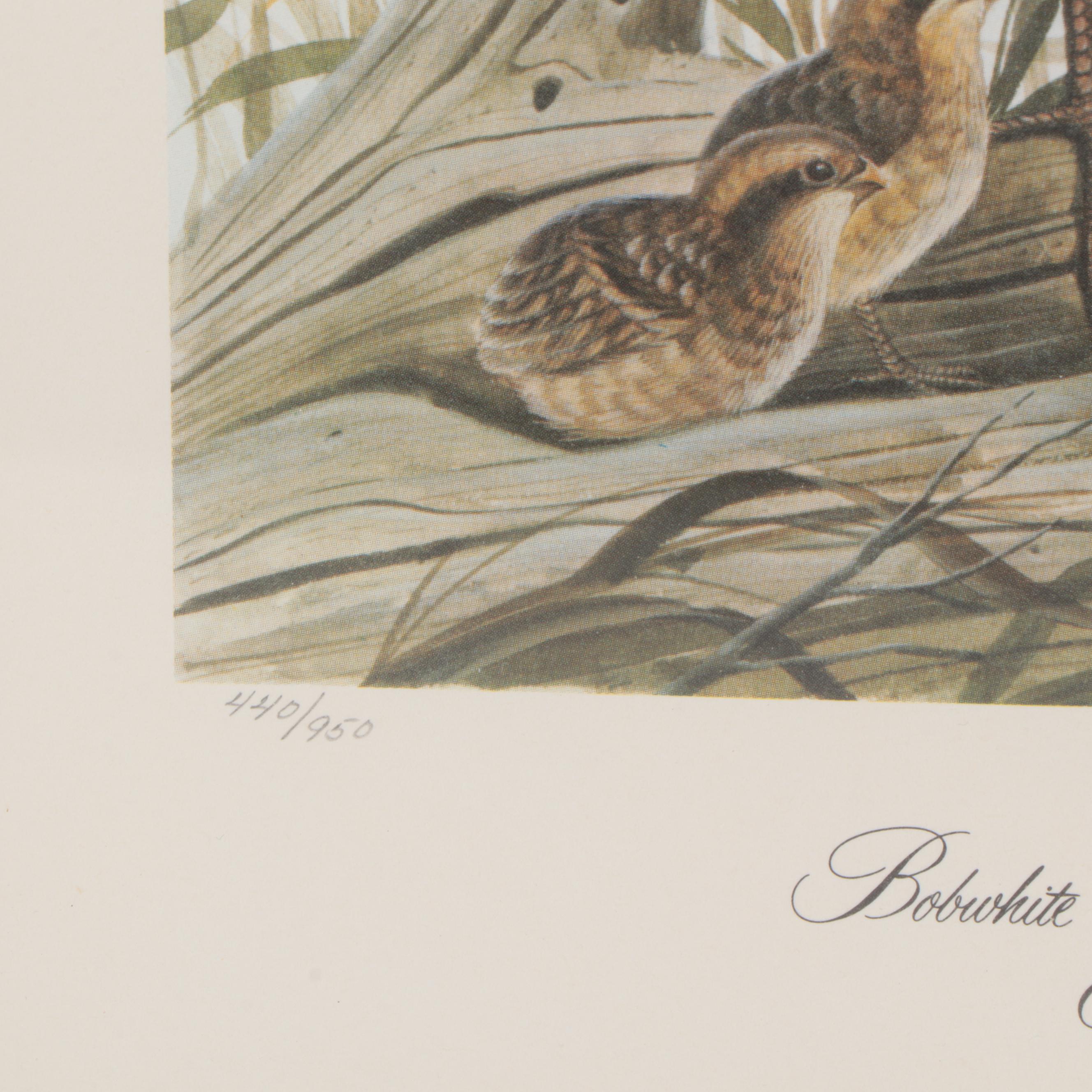 John Ruthven Offset Lithograph "Bobwhite Quail With Young," Late 20th ...