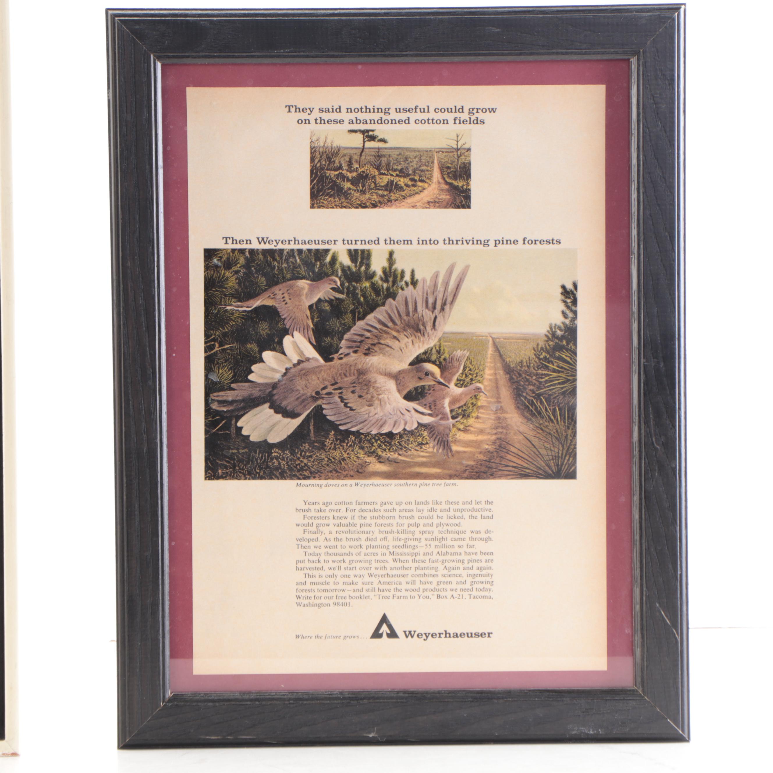 Stanley Galli Gouache Painting "Morning Doves," Late 20th Century | EBTH