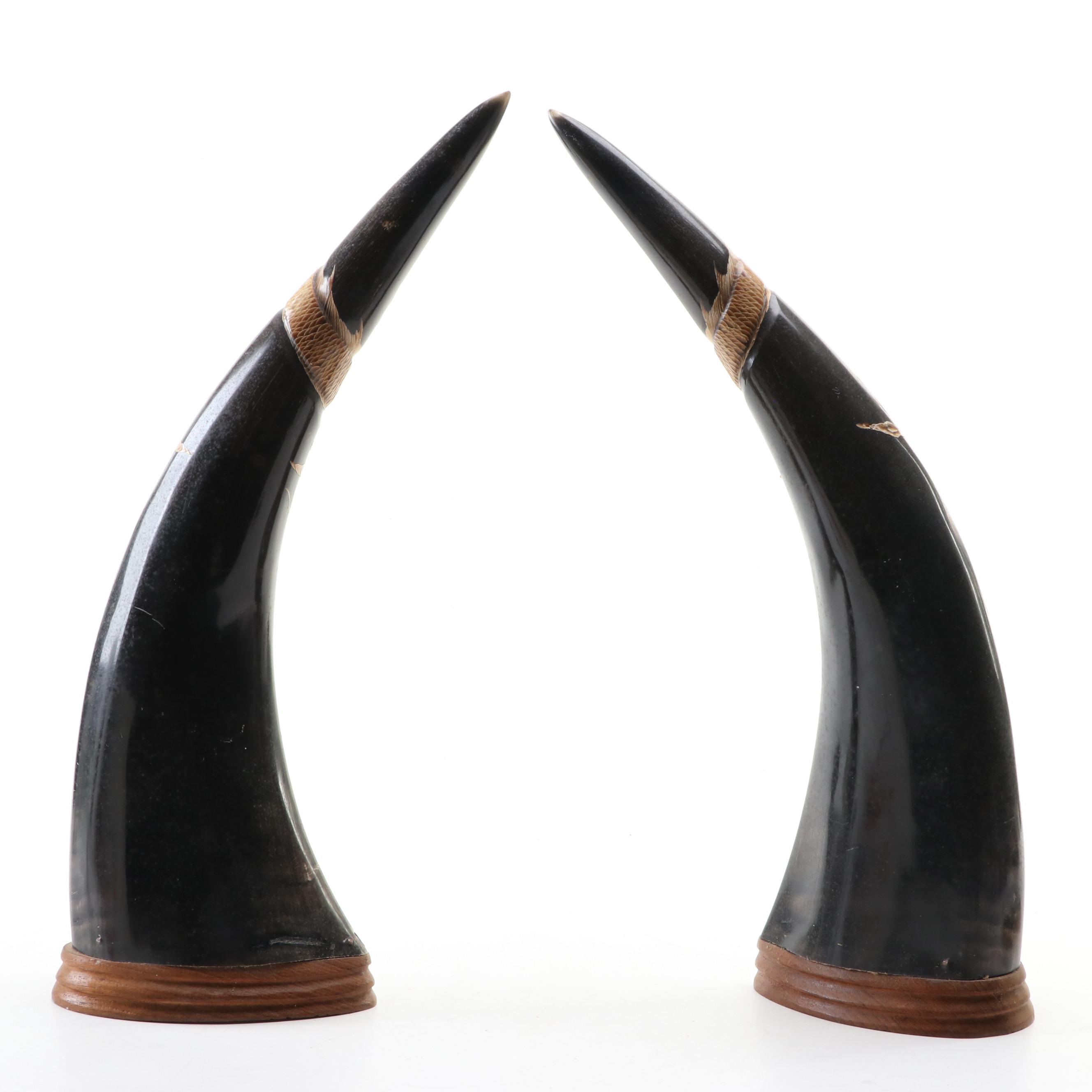 Pair of Carved Chinese Horns with Phoenix Motif | EBTH