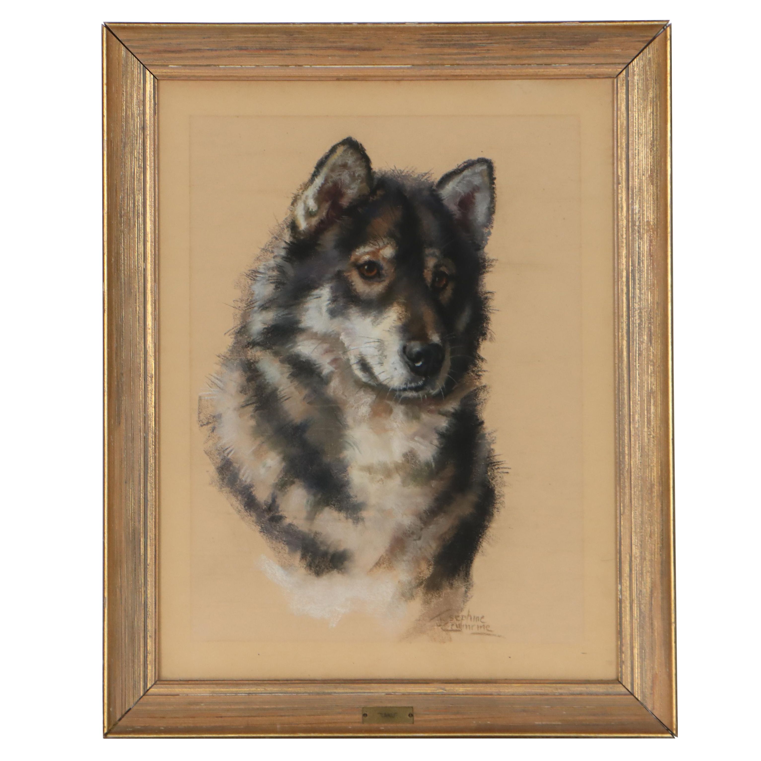 Josephine Crumrine Pastel Portrait of Husky "Taku" | EBTH